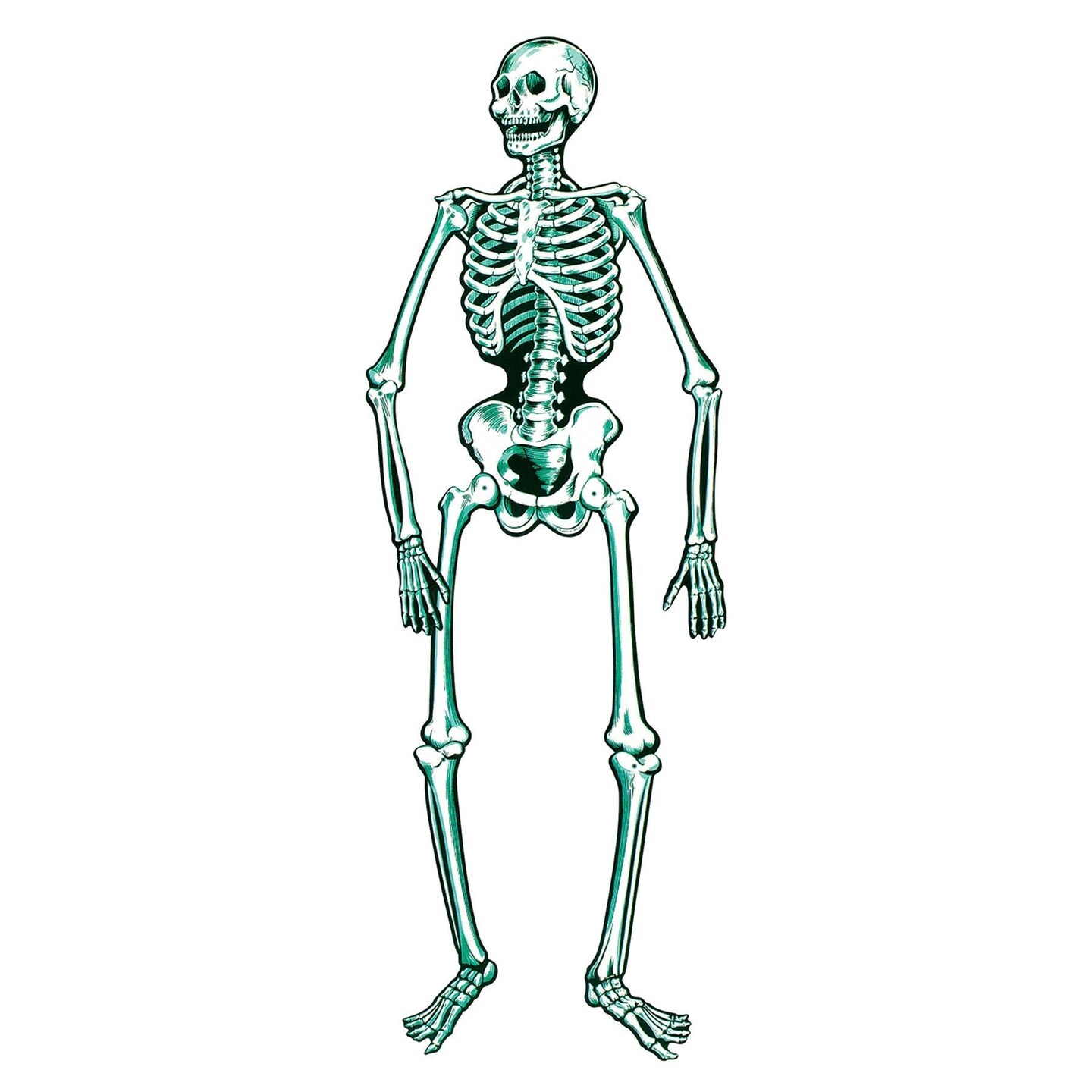 12 Pack Bulk Halloween Jointed Skeleton- Blue and White | Michaels