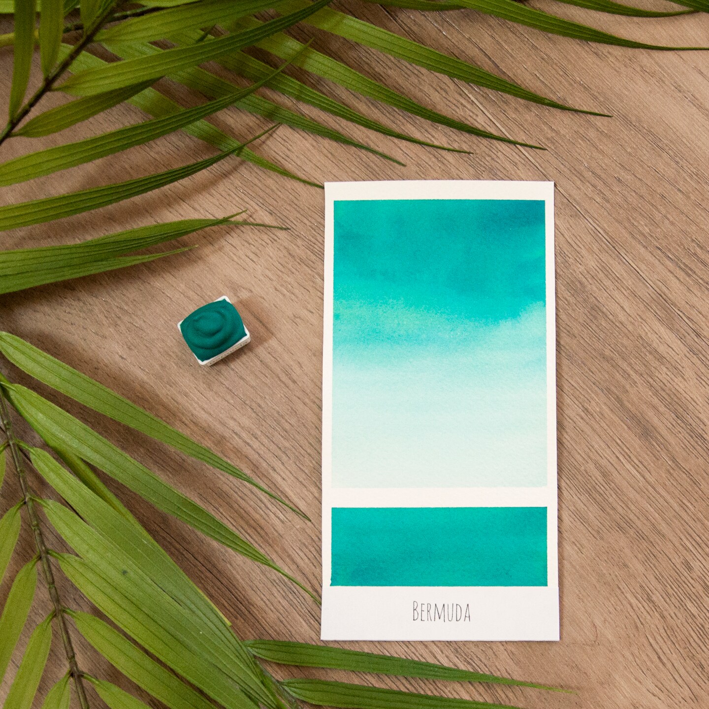Bermuda (Reformulated) Matte Watercolor Paint | Quarter Pan, Half Pan ...