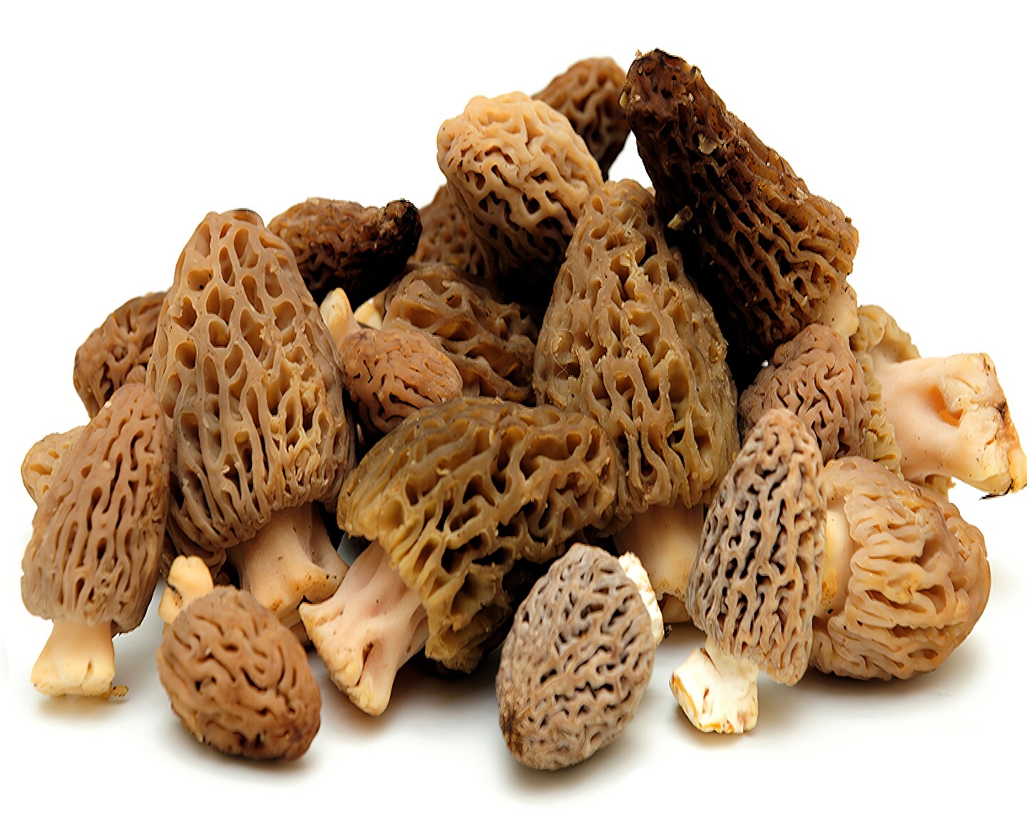 Morel Mushrooms Birthday Edible Cake Topper - Personalized Fondant ...