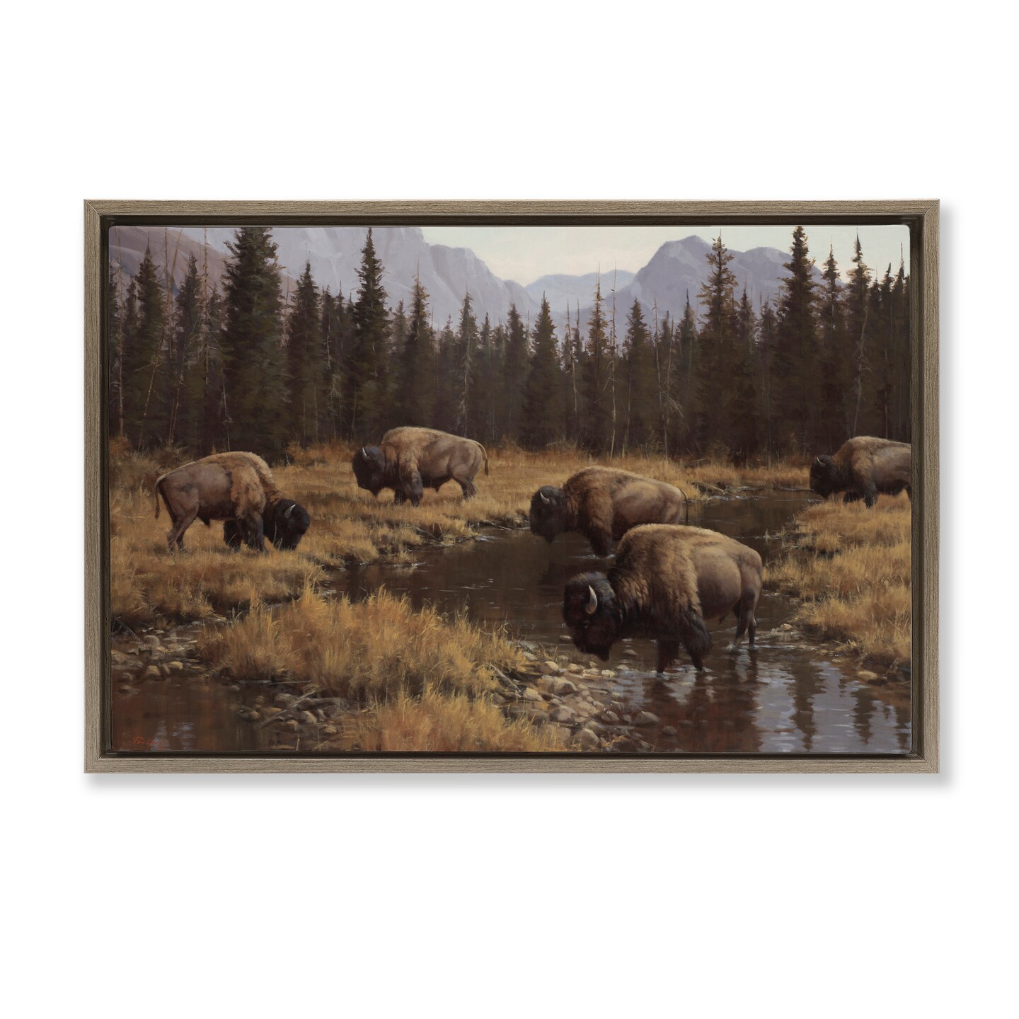Stupell Industries Wild Bison Grazing at Stream Floating Frame By Paco ...