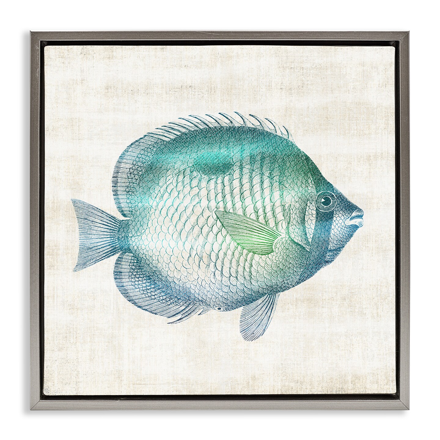 Stupell Industries Fish Impression Sea Life Floating Frame Design by Susan Arnot | Michaels