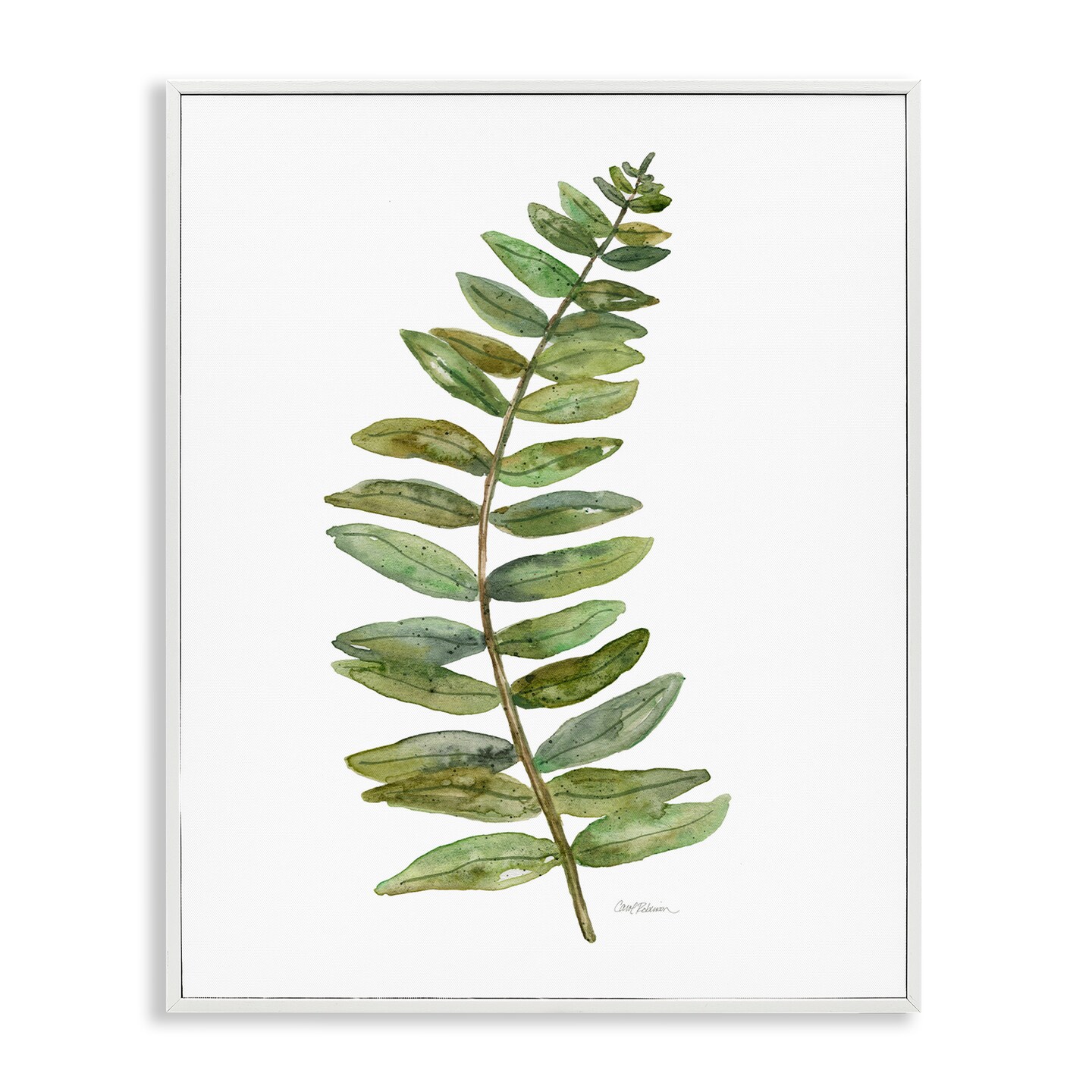 Stupell Industries Curved Fern Branch Framed Giclee By Carol Robinson ...