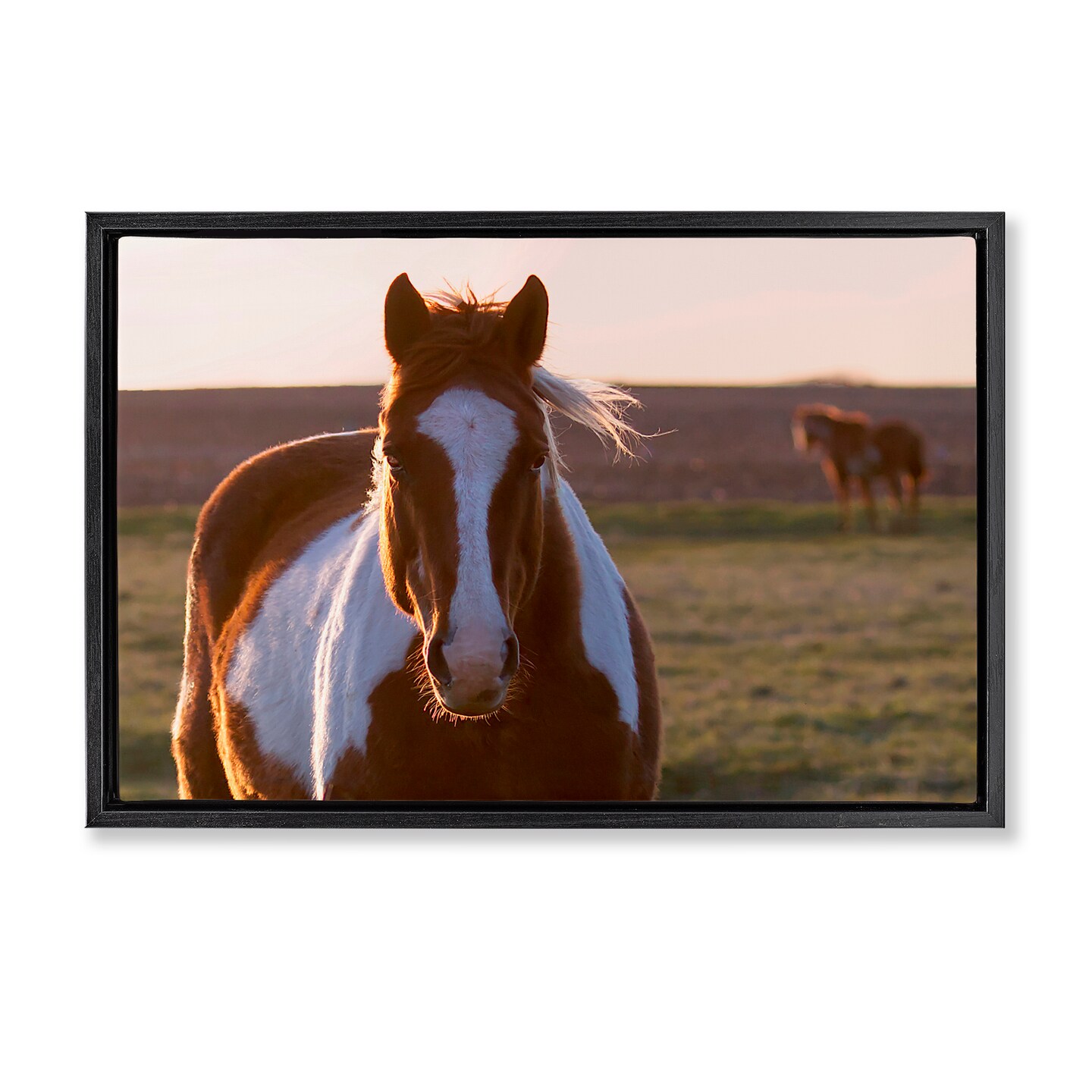 Stupell Industries Spotted Horse in Rural Countryside Floating Frame By ...