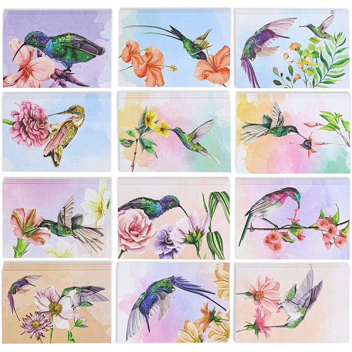 Sustainable Greetings Blank Hummingbird Note Cards with Envelopes (48 ...