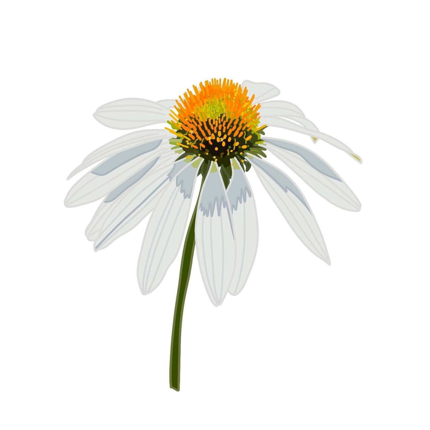 AnaBee | Storefront | Michaels