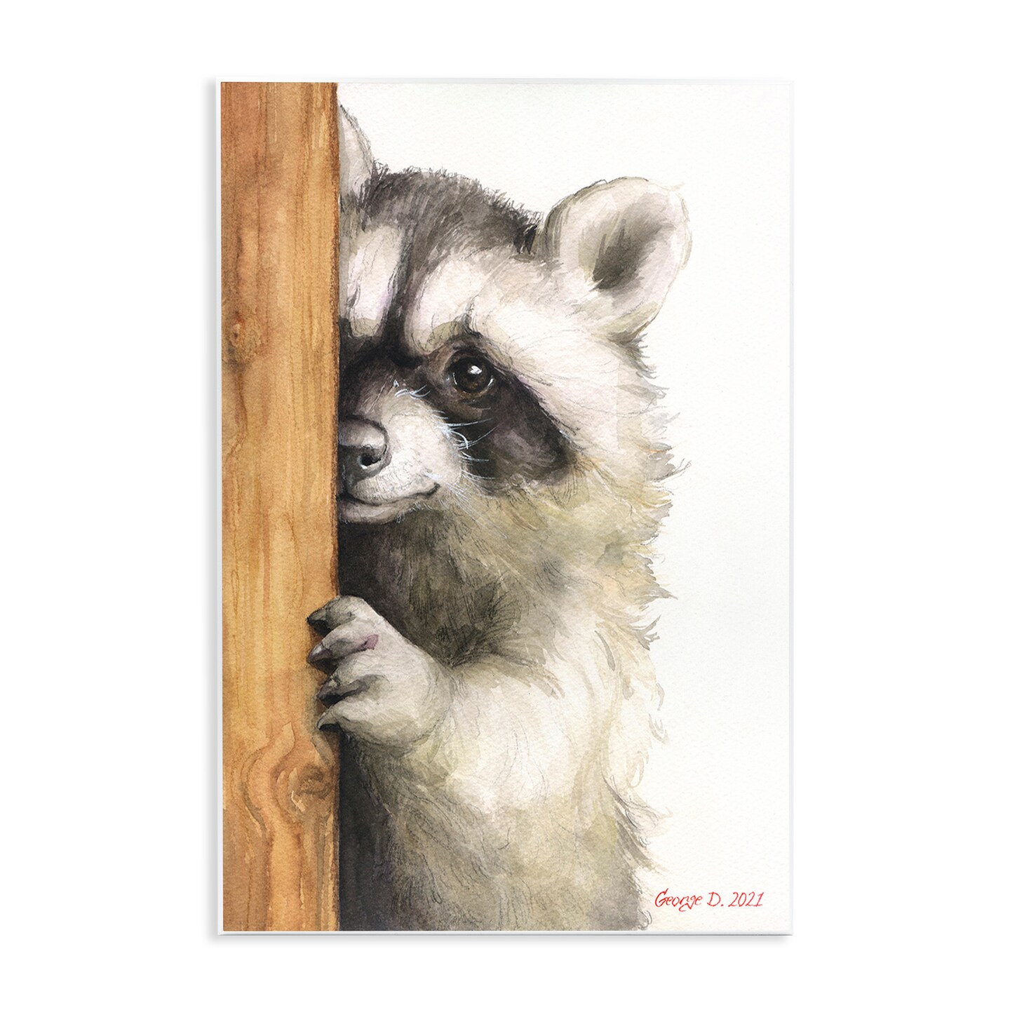 Stupell Industries Peering Raccoon Watercolor Wall Plaque Art | Michaels