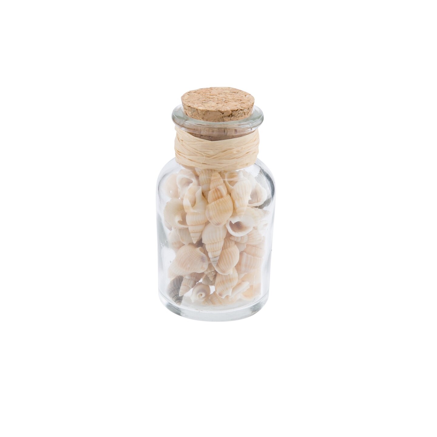 Bottle with Natural Shells | Michaels