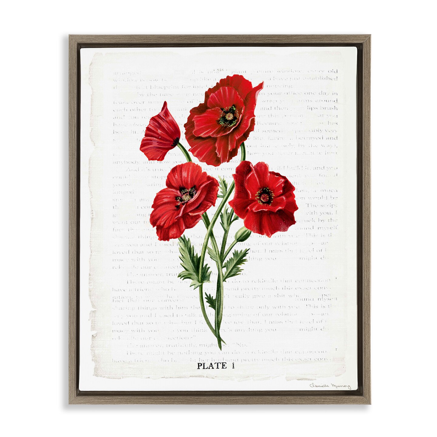 Stupell Industries Red Poppy Study Floating Frame By Danielle Murray | Michaels