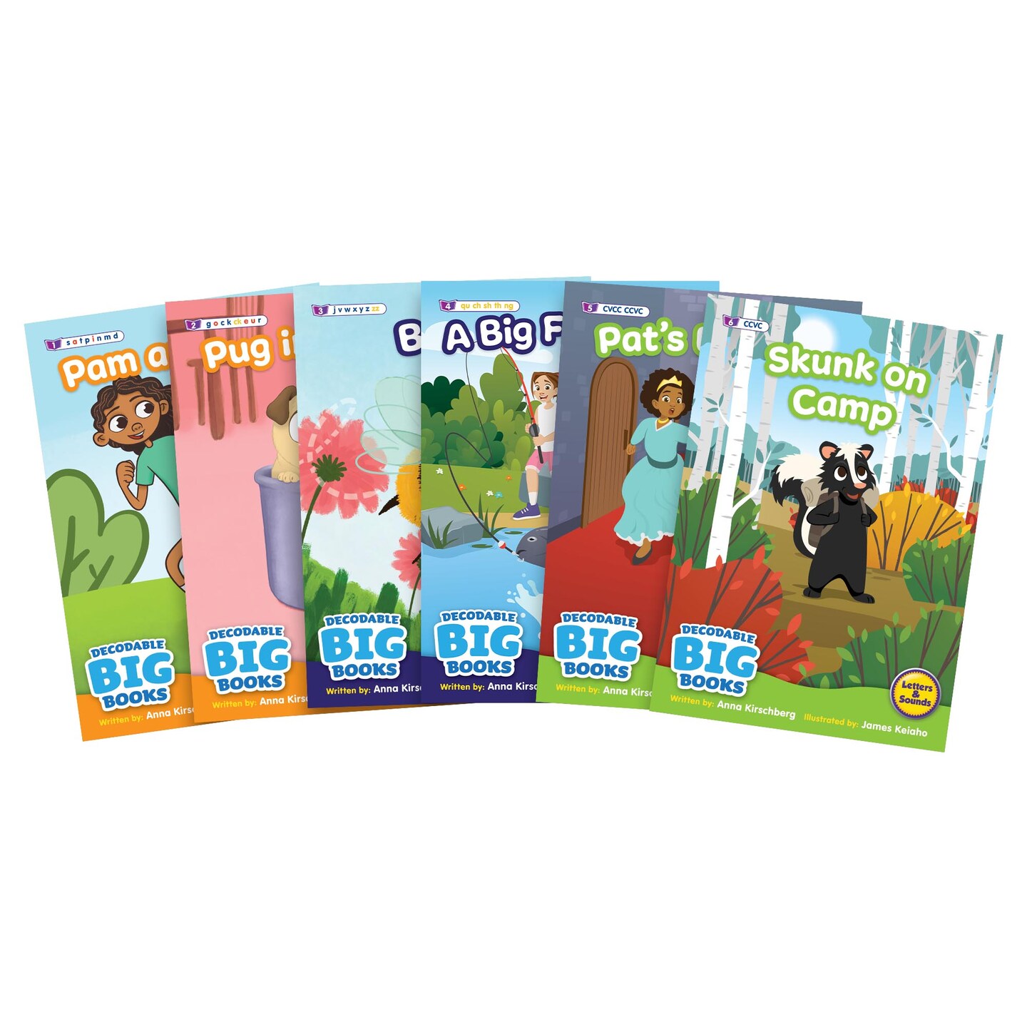 6 XL Decodable Fiction Big Books for Classrooms | Michaels