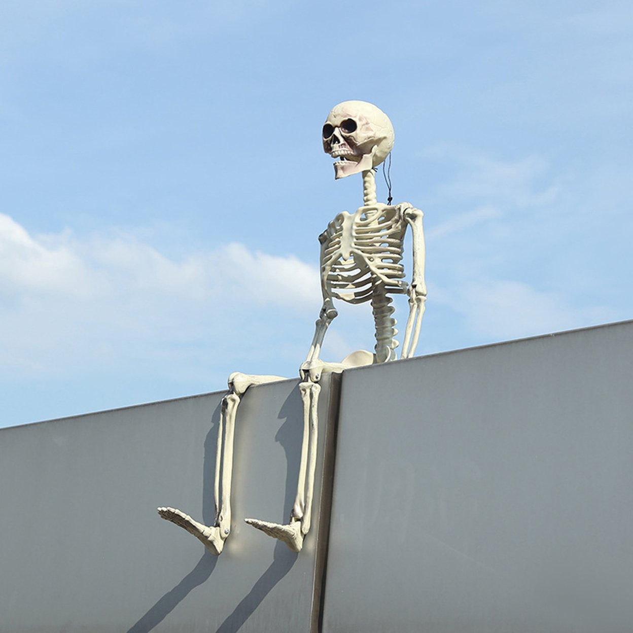 Halloween Skeleton Full Body Skeleton Skull With Movable Joints Haunted ...