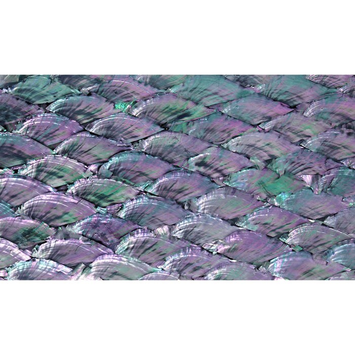 Shell Veneer, 5.5 x 9.5 inches | WMOP, BMOP, Abalone | Includes 3M ...