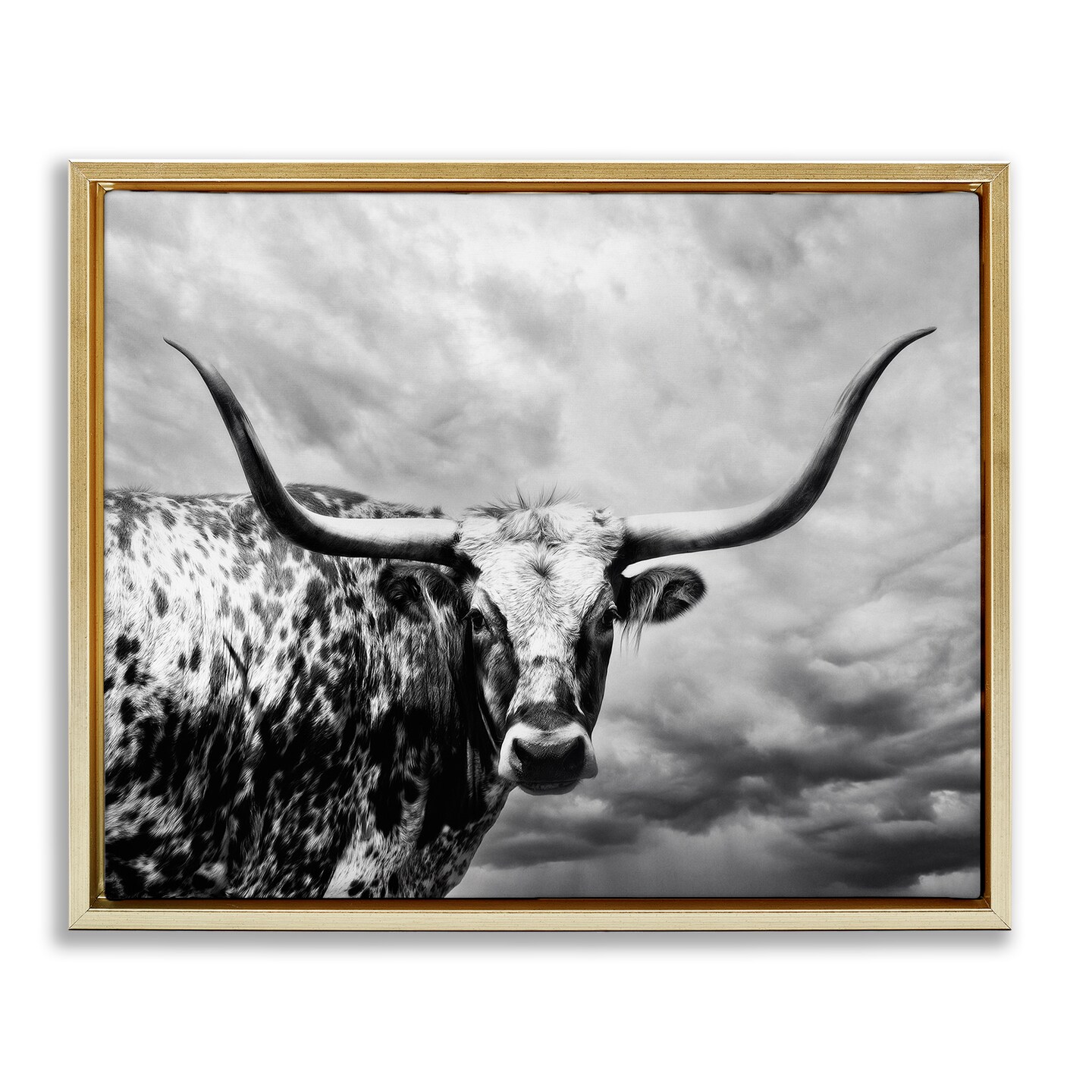 Stupell Industries Spotted Longhorn over Clouds Floating Frame By ...