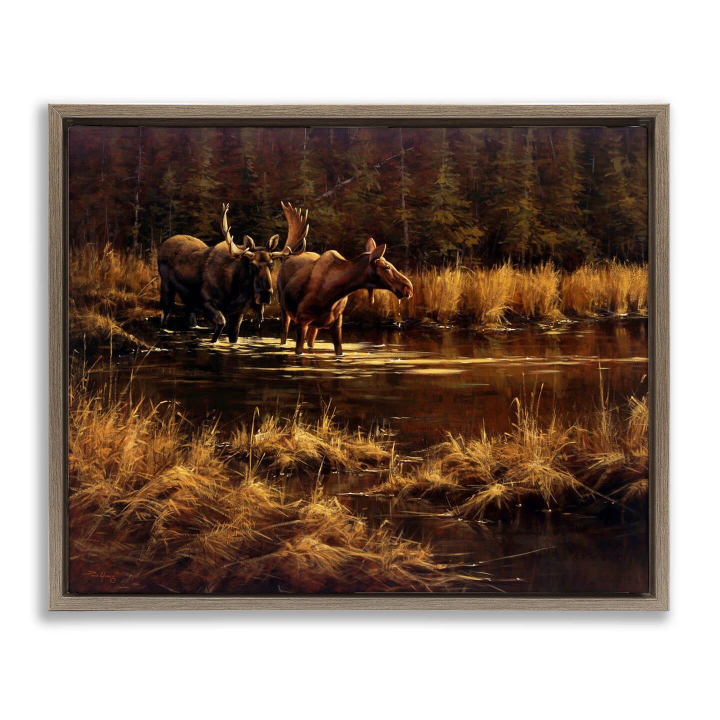 Stupell Industries Moose Pair at Stream Floating Frame Design by Paco ...