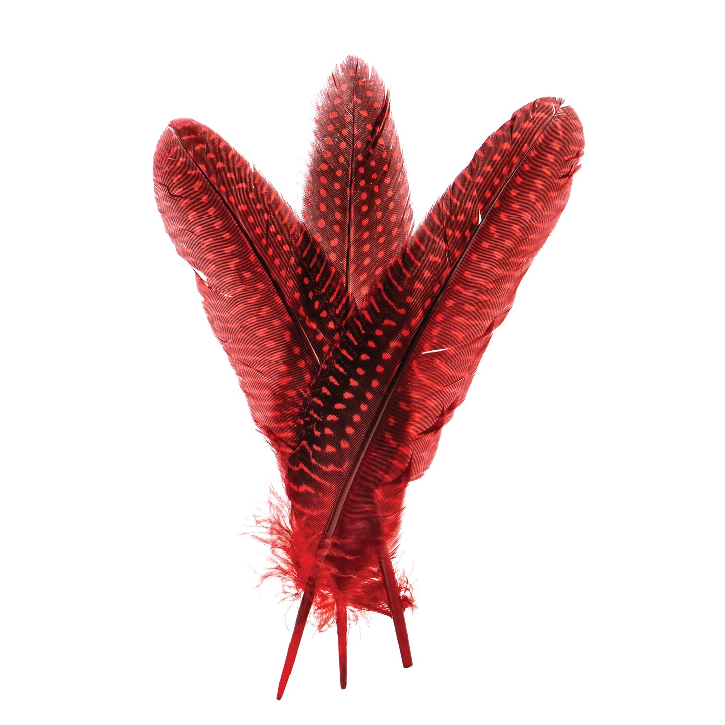 John Bead Guinea Fowl Quill Feathers - Pkg of 30, Red | Michaels