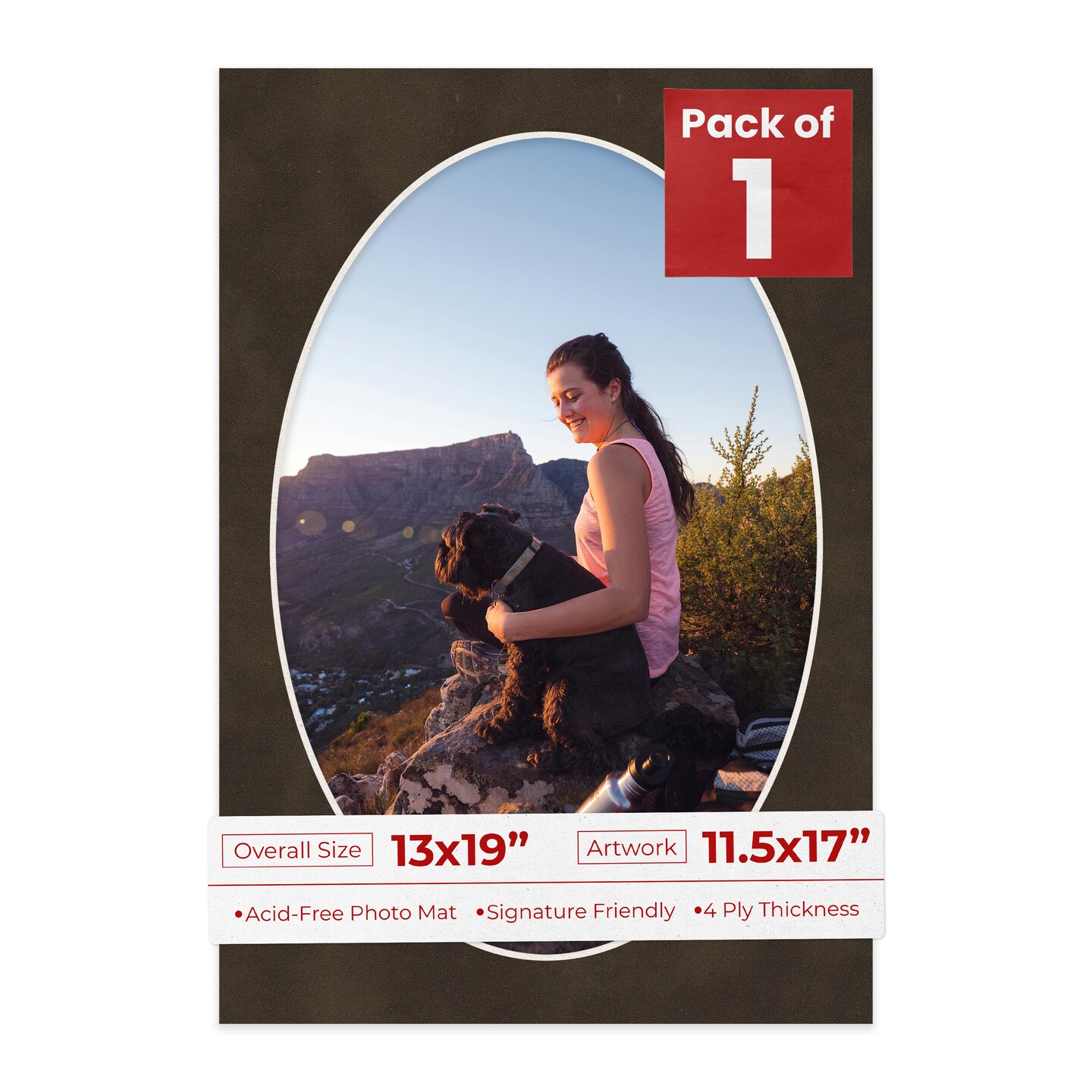 Brown Suede Mat Board for 13x19 Frames - Oval Opening for 11.5x17 ...
