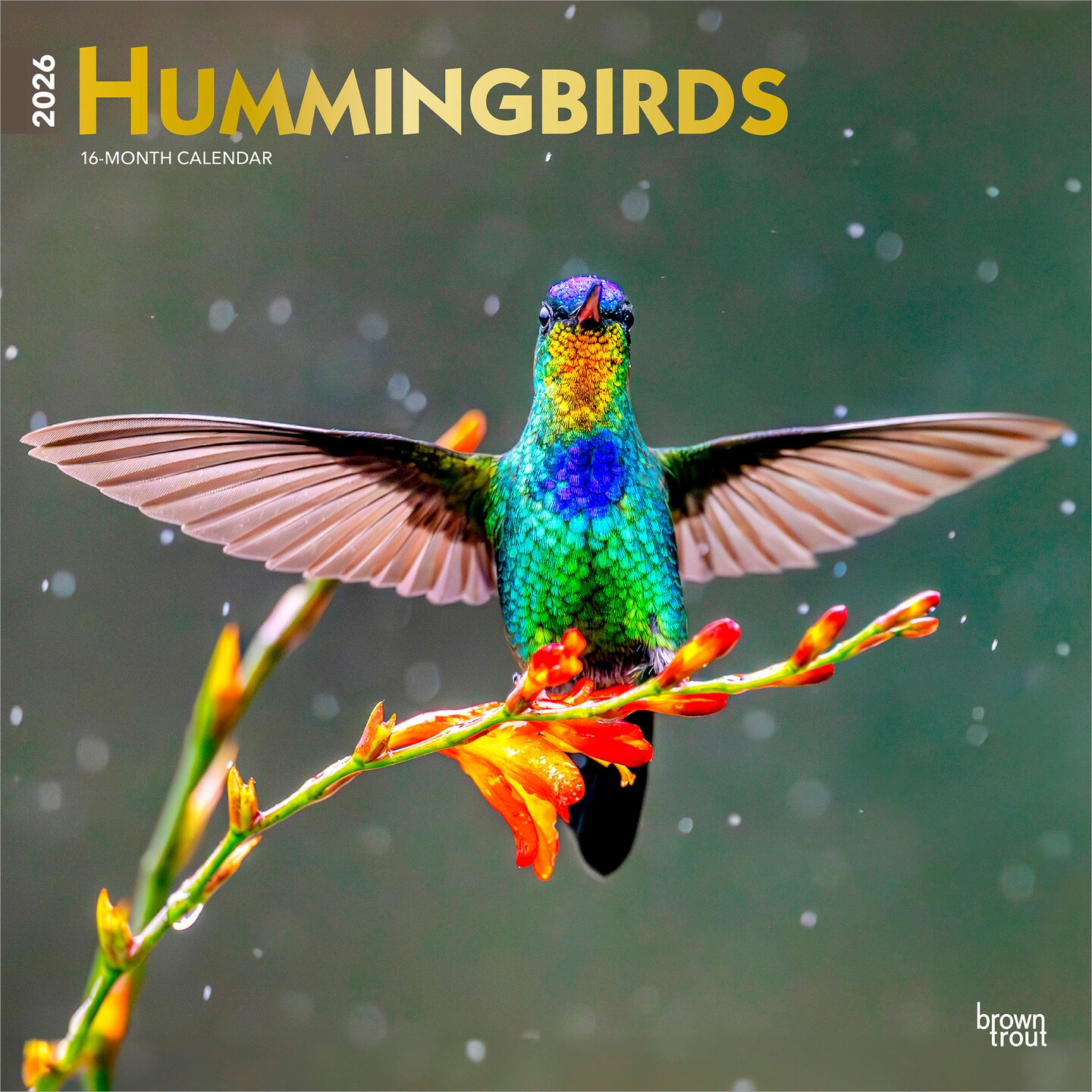 Hummingbirds | 2026 12 x 24 Inch (Hanging) Monthly Square Wall Calendar ...