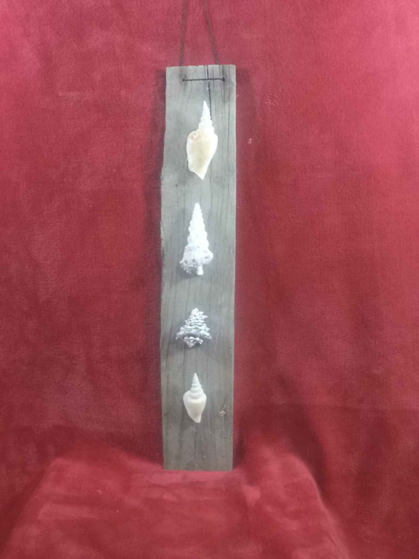 Hanging Sea Shell Wall Art | MakerPlace by Michaels