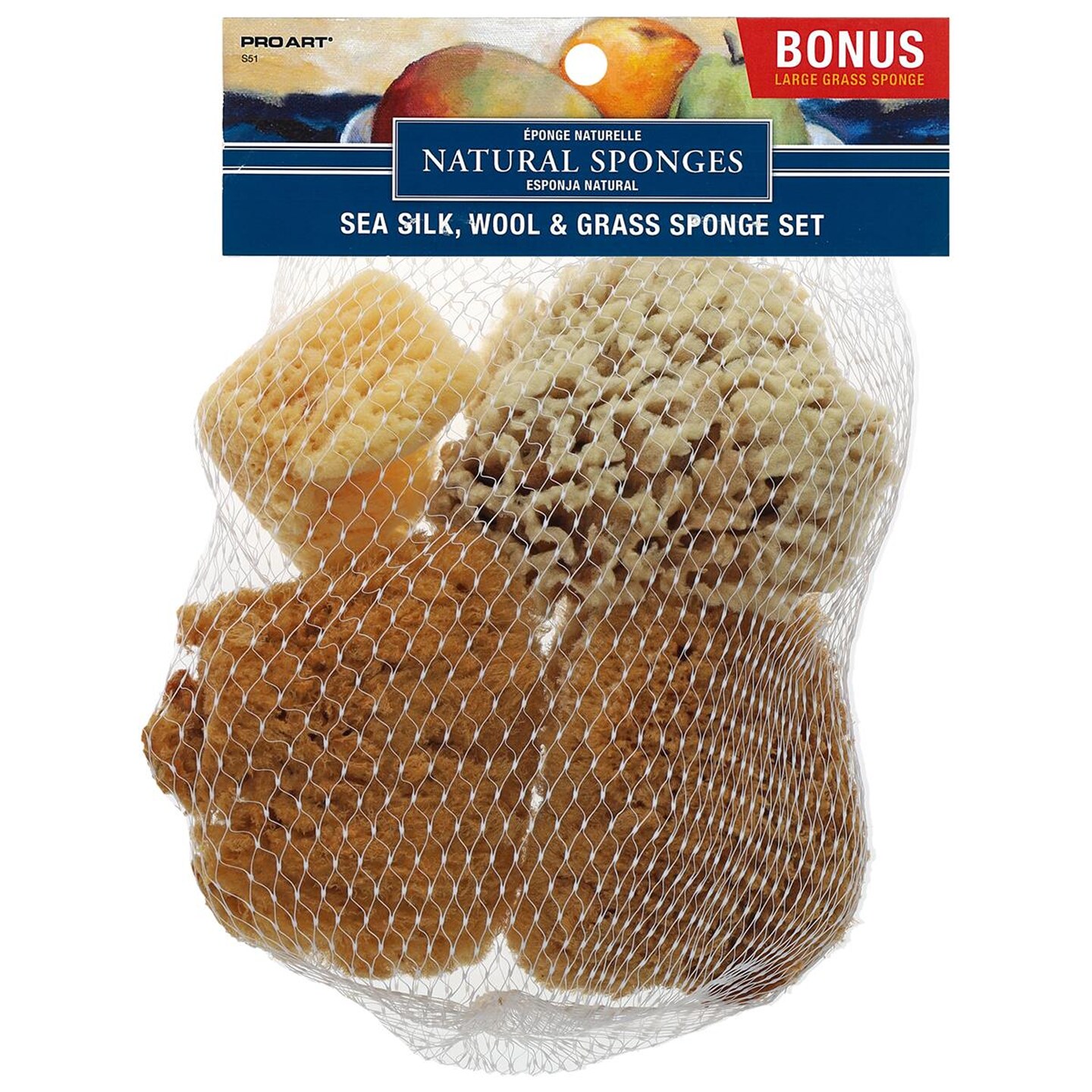 Pro Art Sponge Combo Natural Silk Wool Grass | Michaels