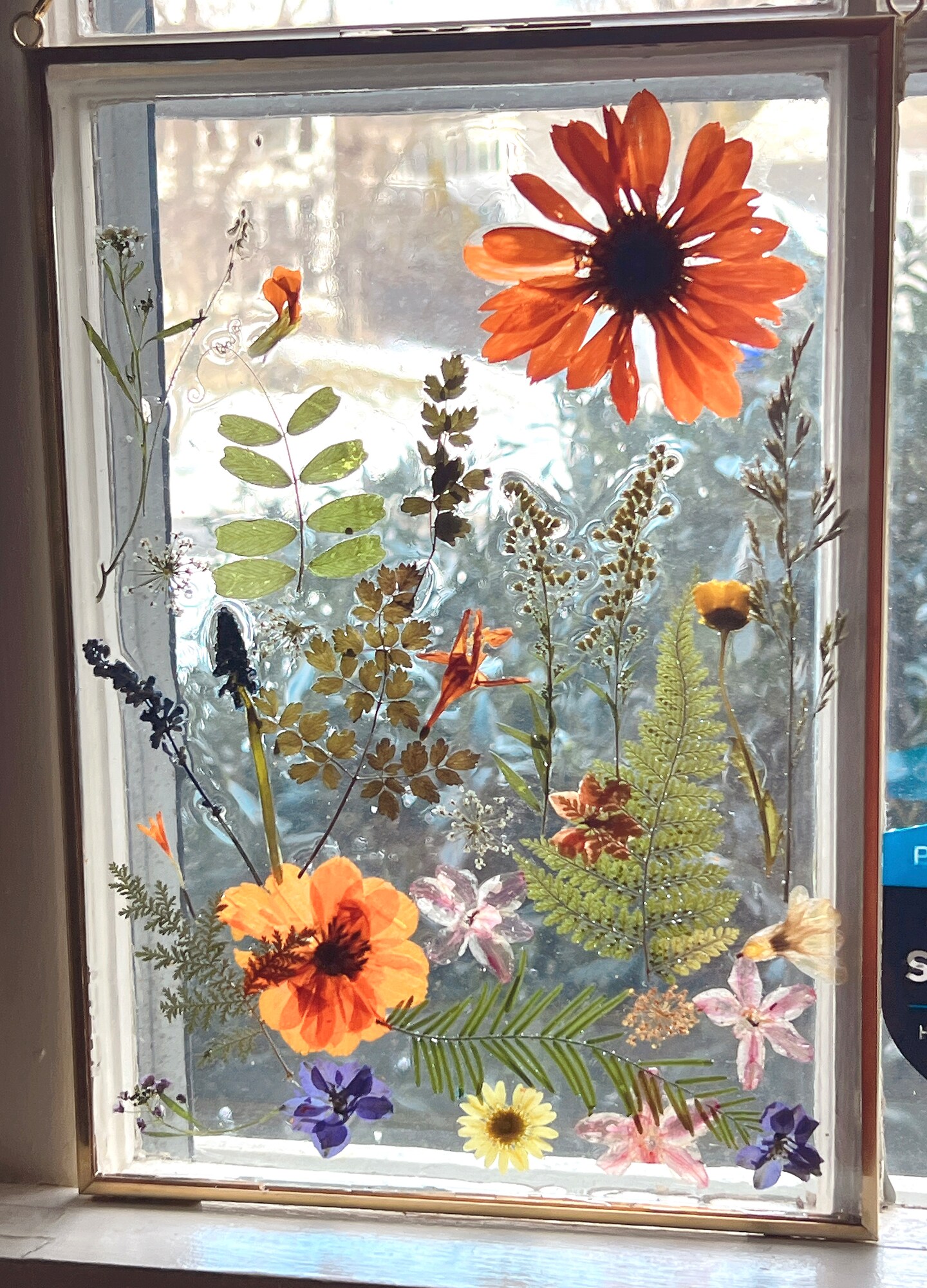 Pressed Flower Window Hanger, Pressed flower Frame, Hanging Glass decor ...