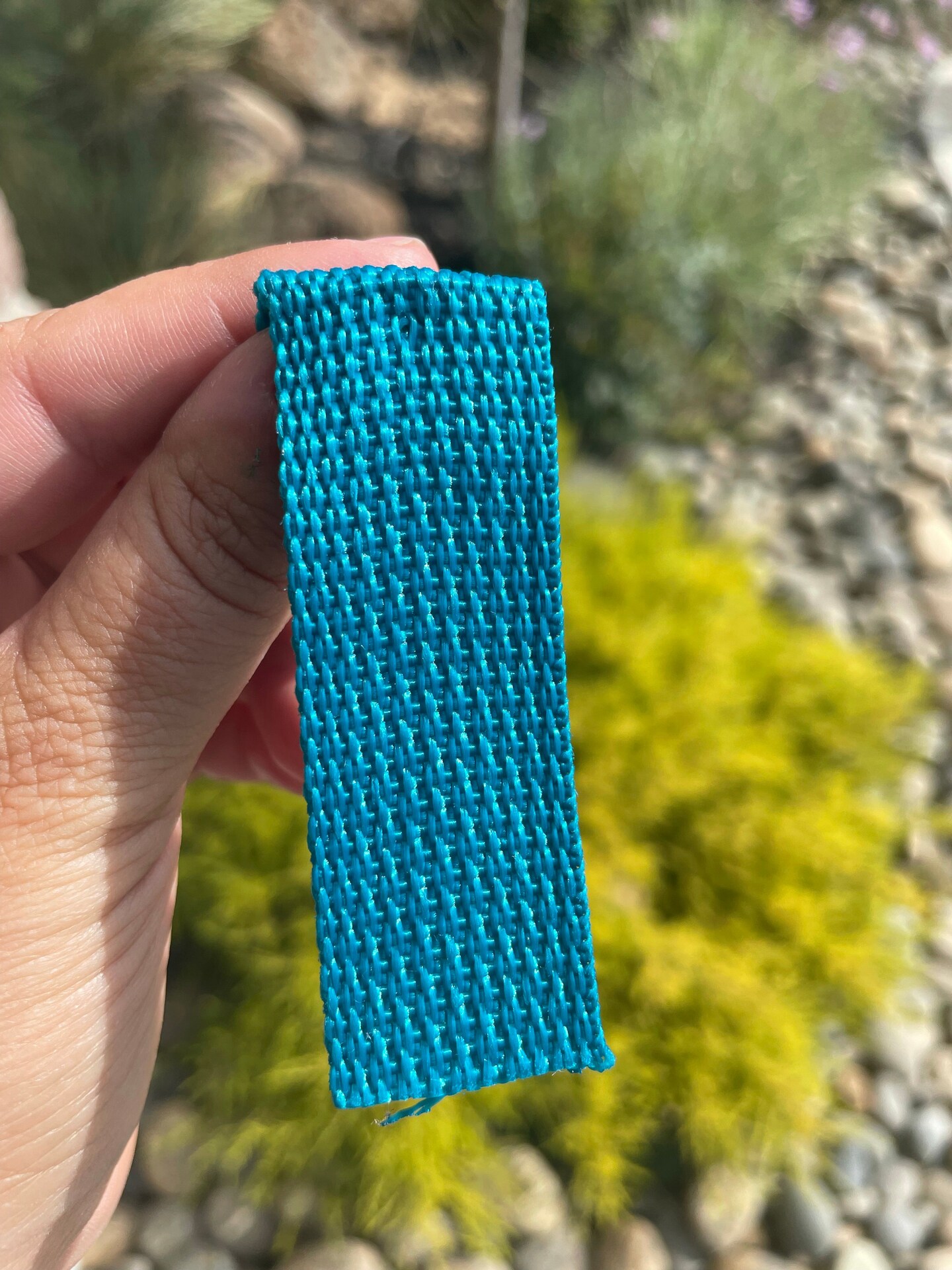 Turquoise 1” Polypropylene Webbing (by the yard) | Michaels