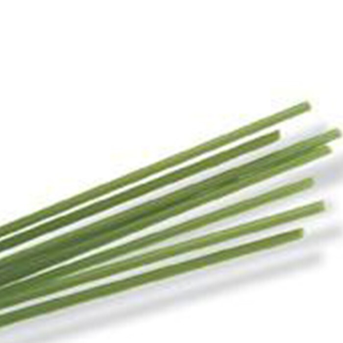 Oceanside Glass Rods ‐ Amazon Green Opal ‐ 96 COE ‐ 1 Pound Bundle ...