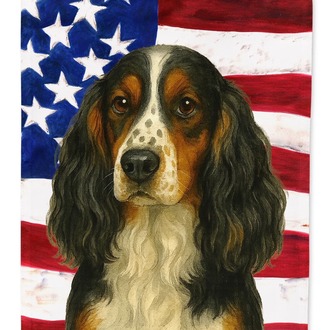 Edge Collections - 28" X 40" - Multicolor - Tri-color English Springer ...