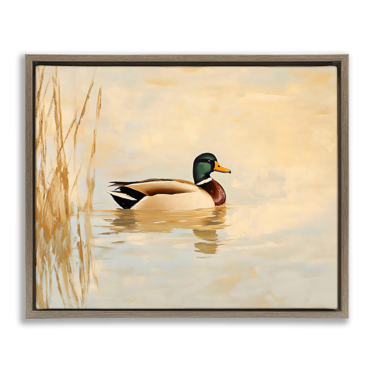 Stupell Industries Green Headed Duck Floating Frame By Franklyn Gregory ...