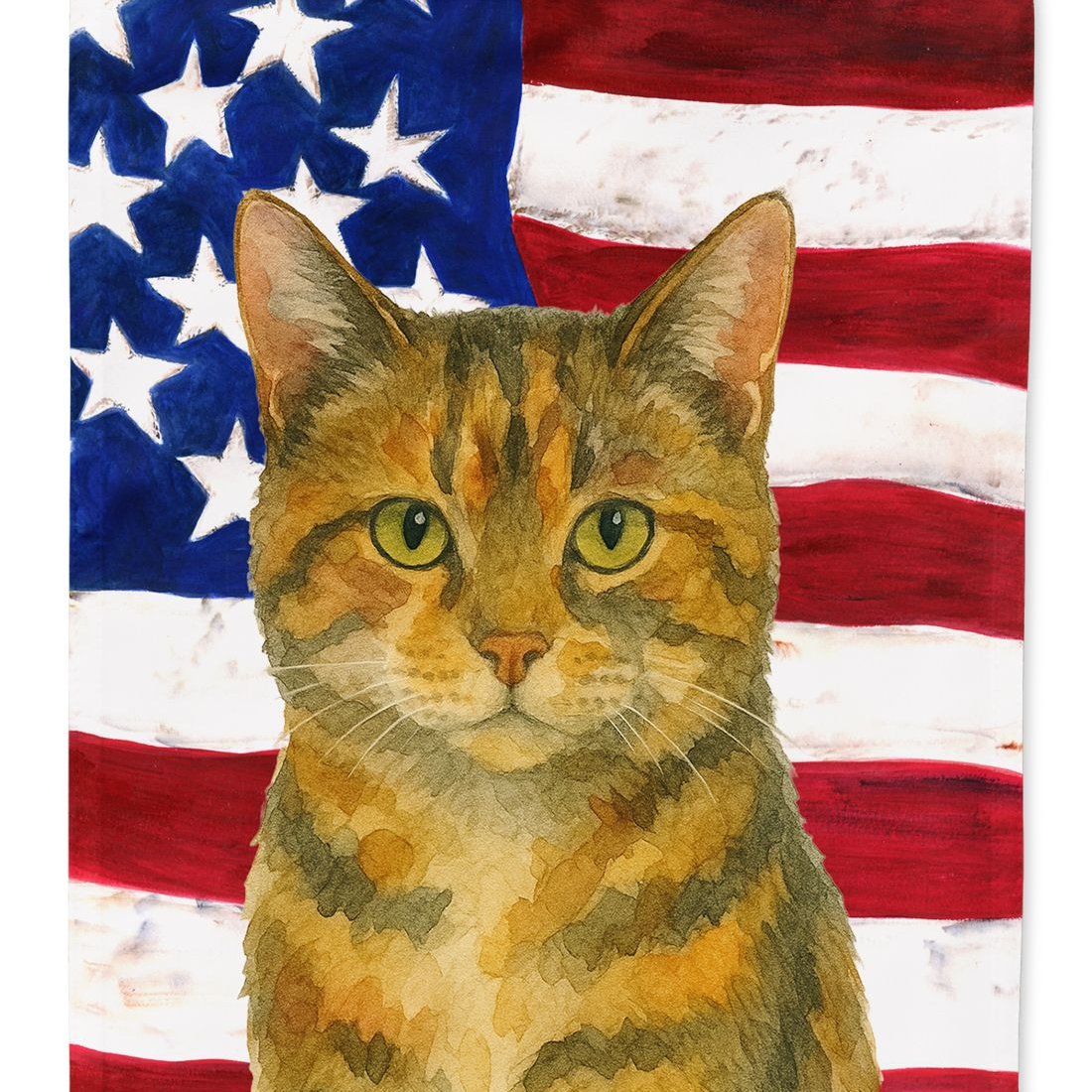 Edge Collections - 28" X 40" - Multicolor - Patched Tabby Cat American ...