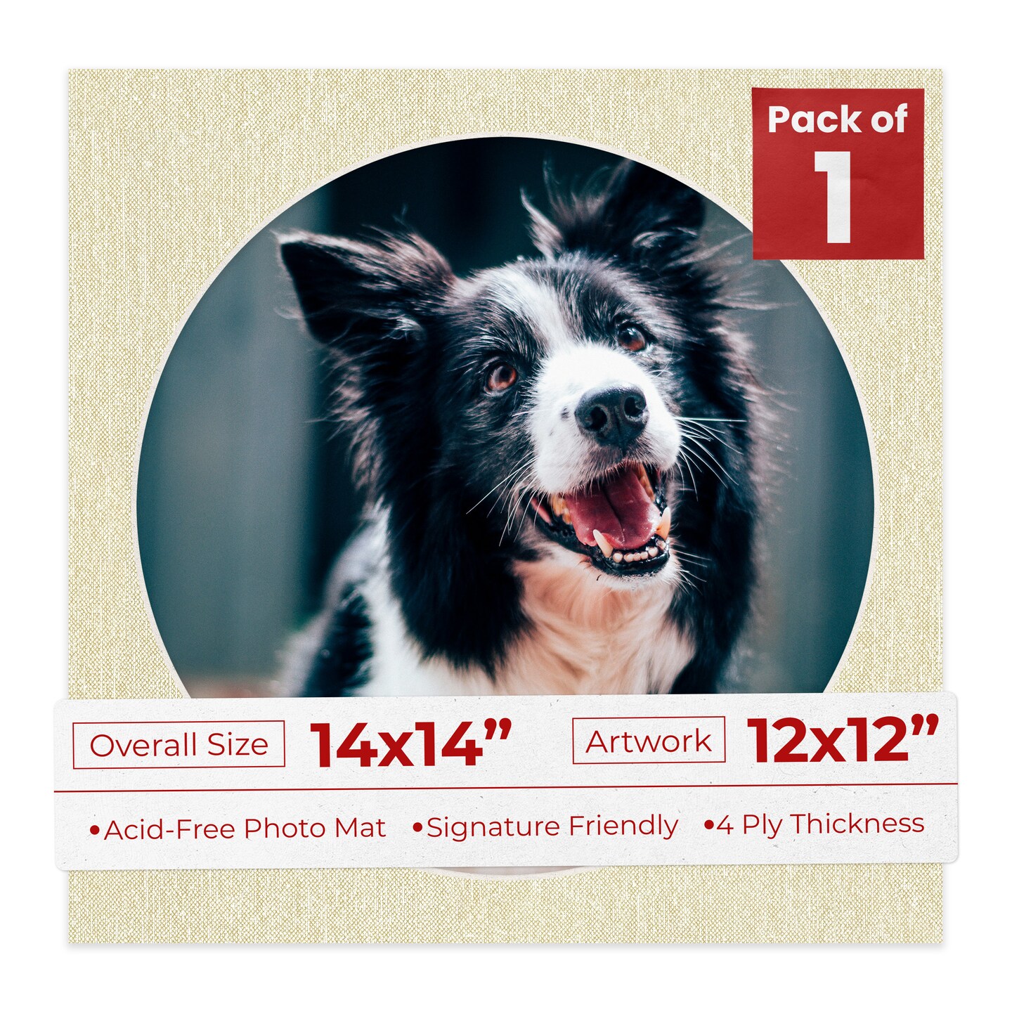 Off White Canvas Mat Board for 14x14 Frames - Circle Opening for 12x12 ...