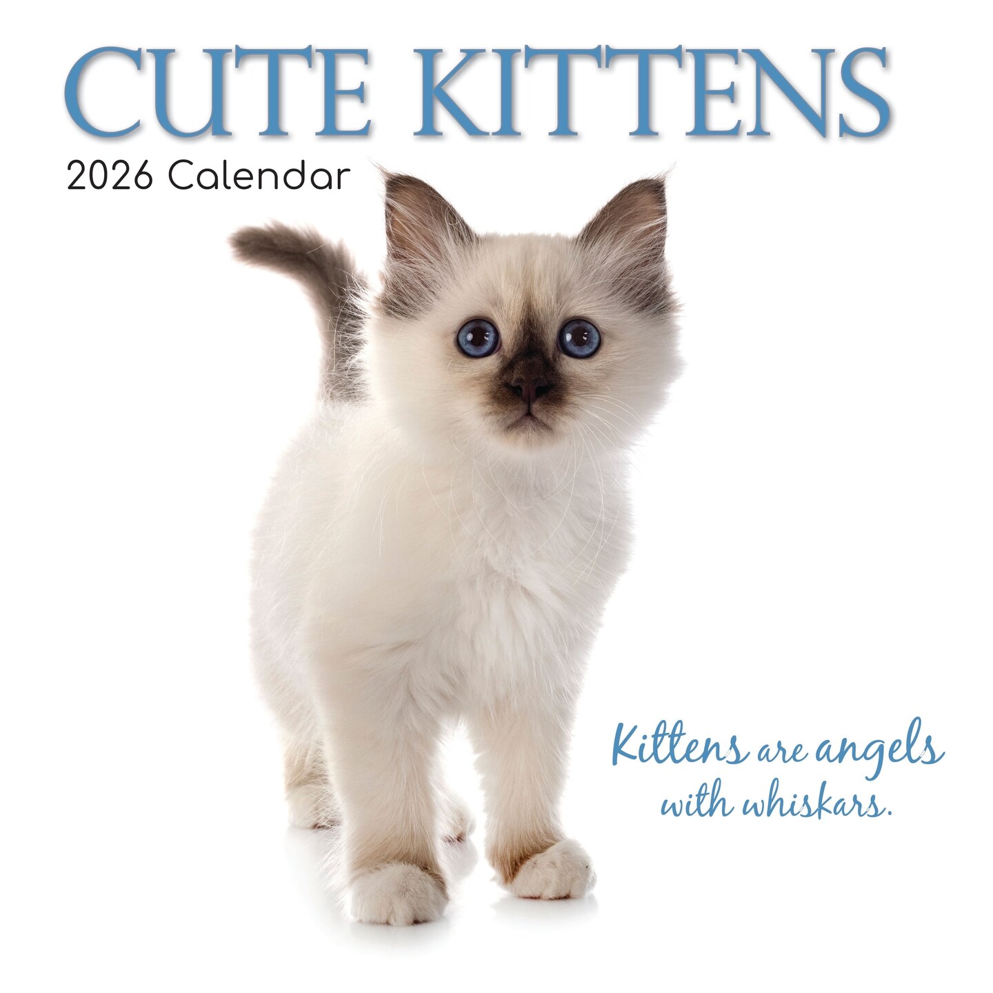 The Gifted Stationary 2026 Square Wall Calendar, Cute Kittens, 16-Month ...