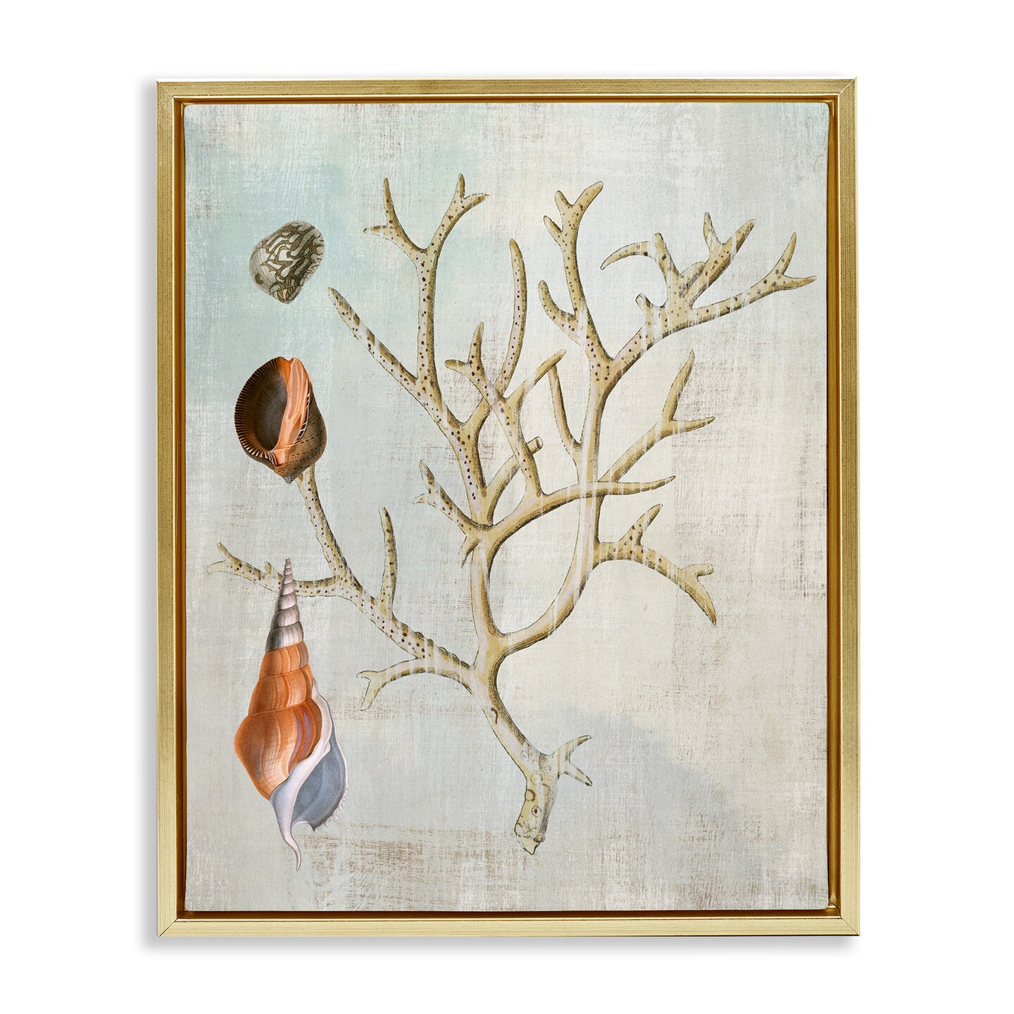 Stupell Industries Seashells and Coral Branch Floating Frame Design by Susan Arnot | Michaels