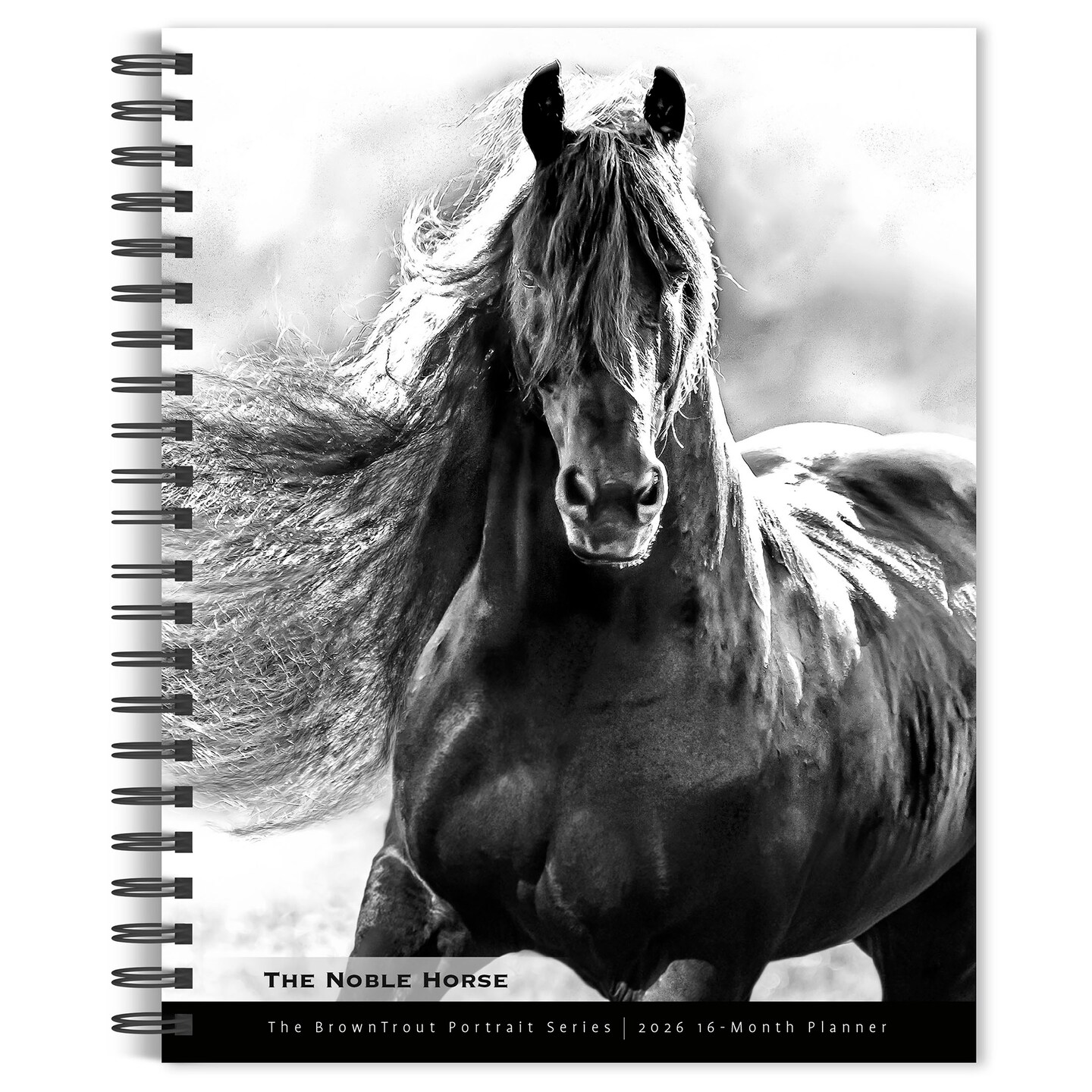 The BrownTrout Portrait Series: The Noble Horse | 2026 6x7.75 Inch ...