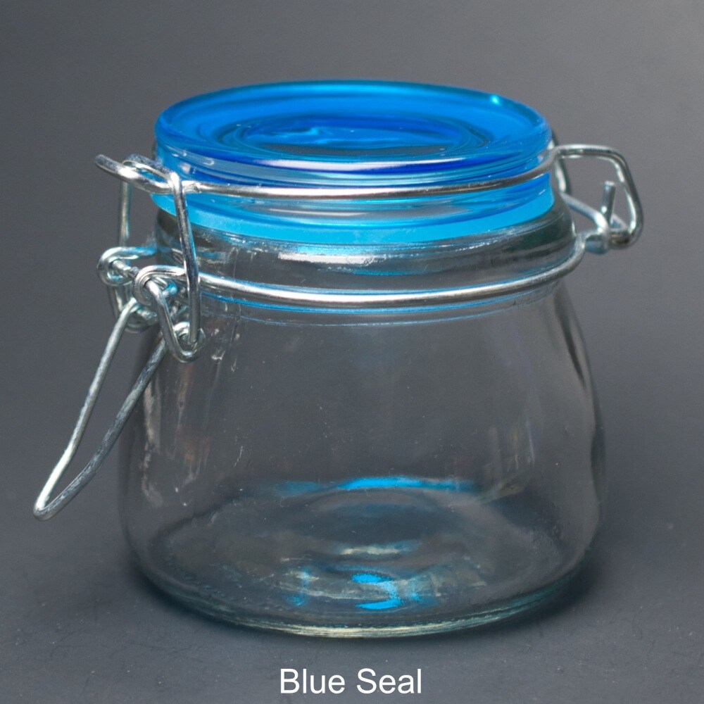 Glass Display Jar with Latch – 57116 | Michaels