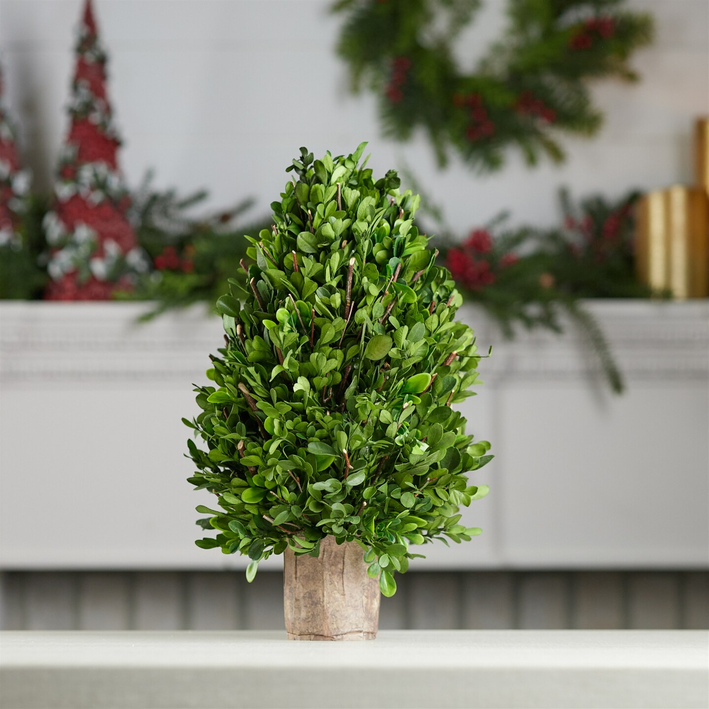Melrose Boxwood Topiary Plants with Pot - 15.75" - Green | Michaels