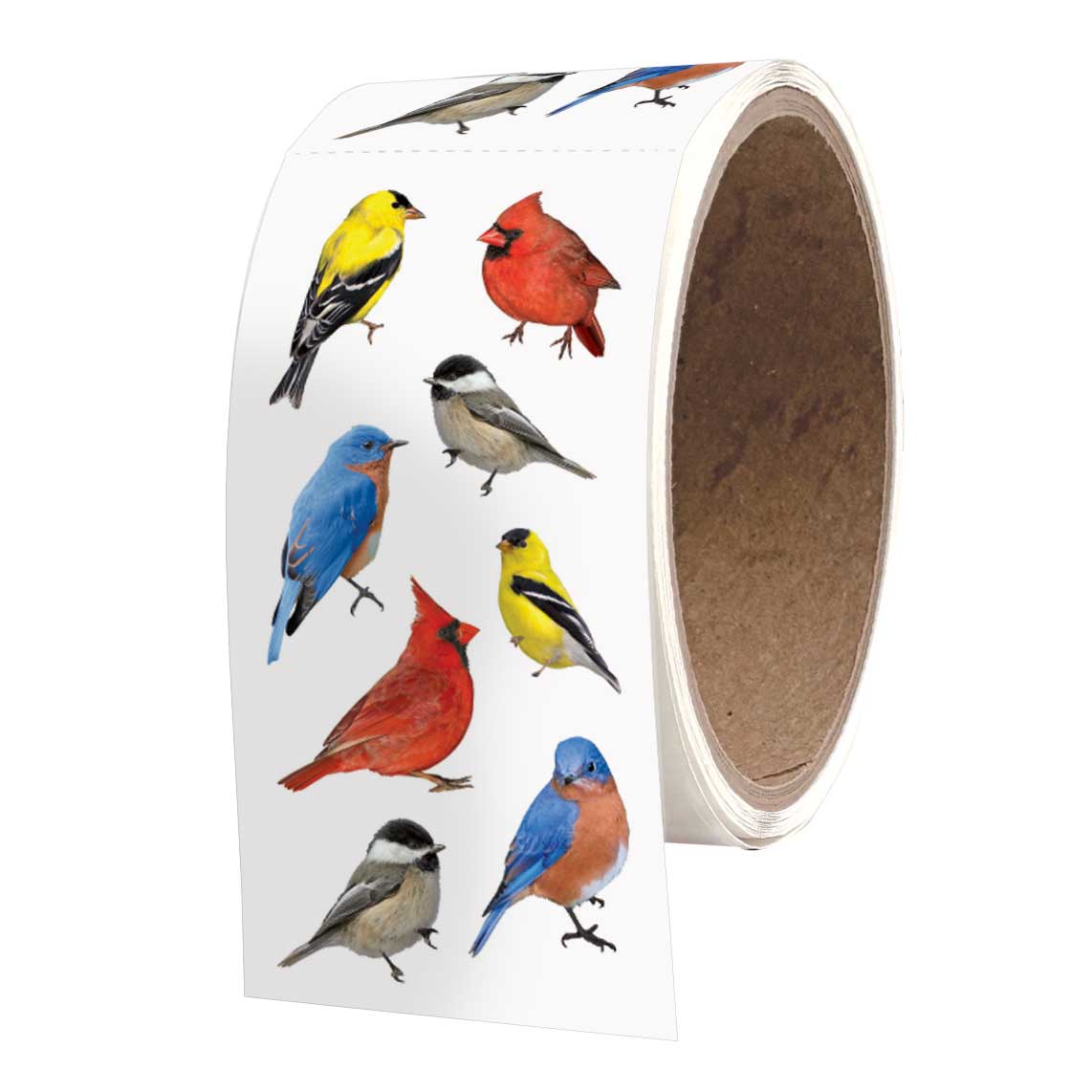 Backyard Birds 2x4 Stickers - ROLL OF 50 MODULES | Michaels