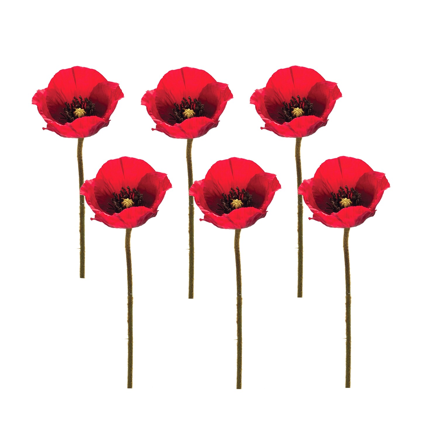 Poppy Spray (Set of 6) | Michaels