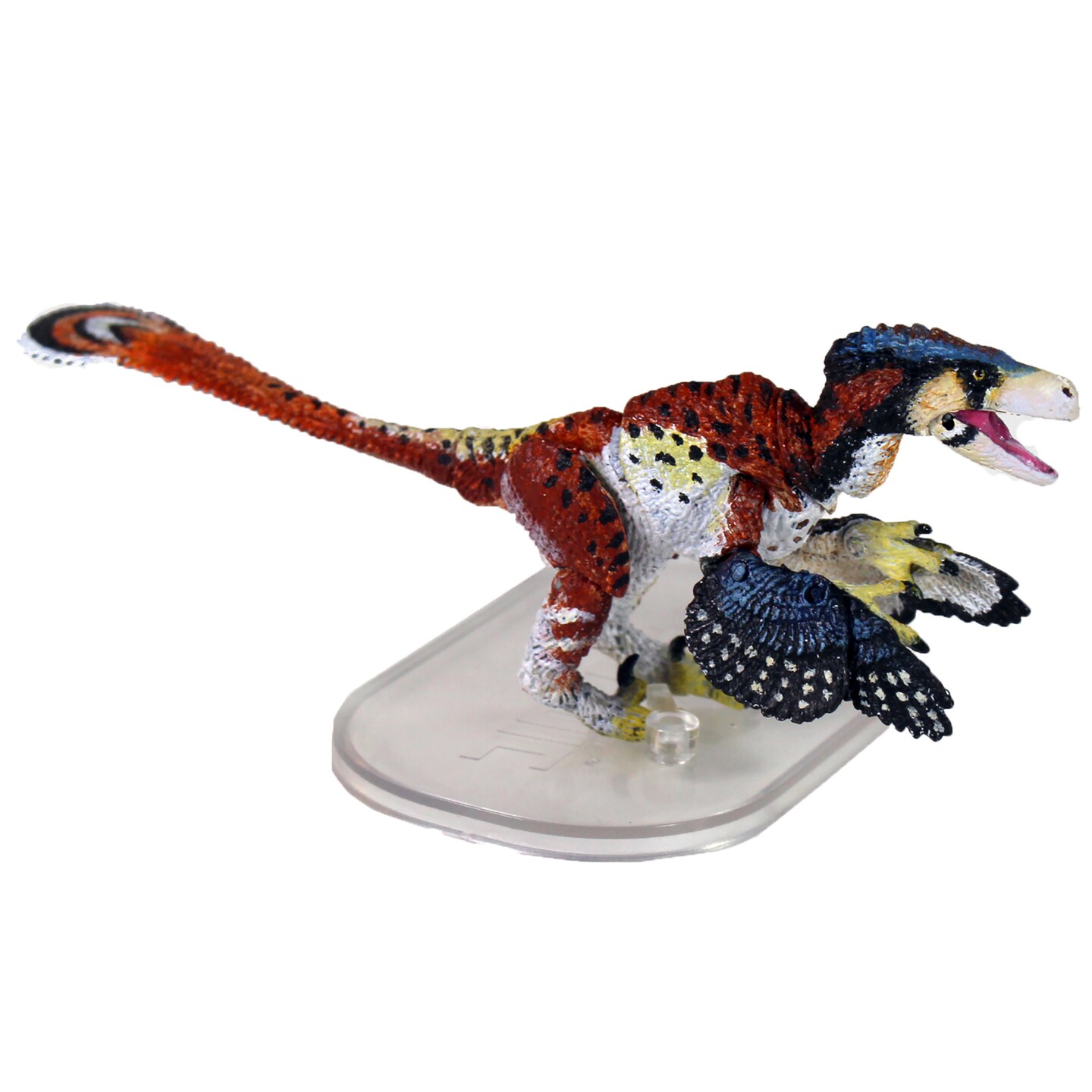Beasts of the Mesozoic: Dromaeosaurus Albertensis Fan's Choice - 1/18th ...