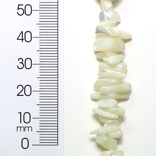 Shell Chips - Natural - 2 x 8" Strand | Michaels