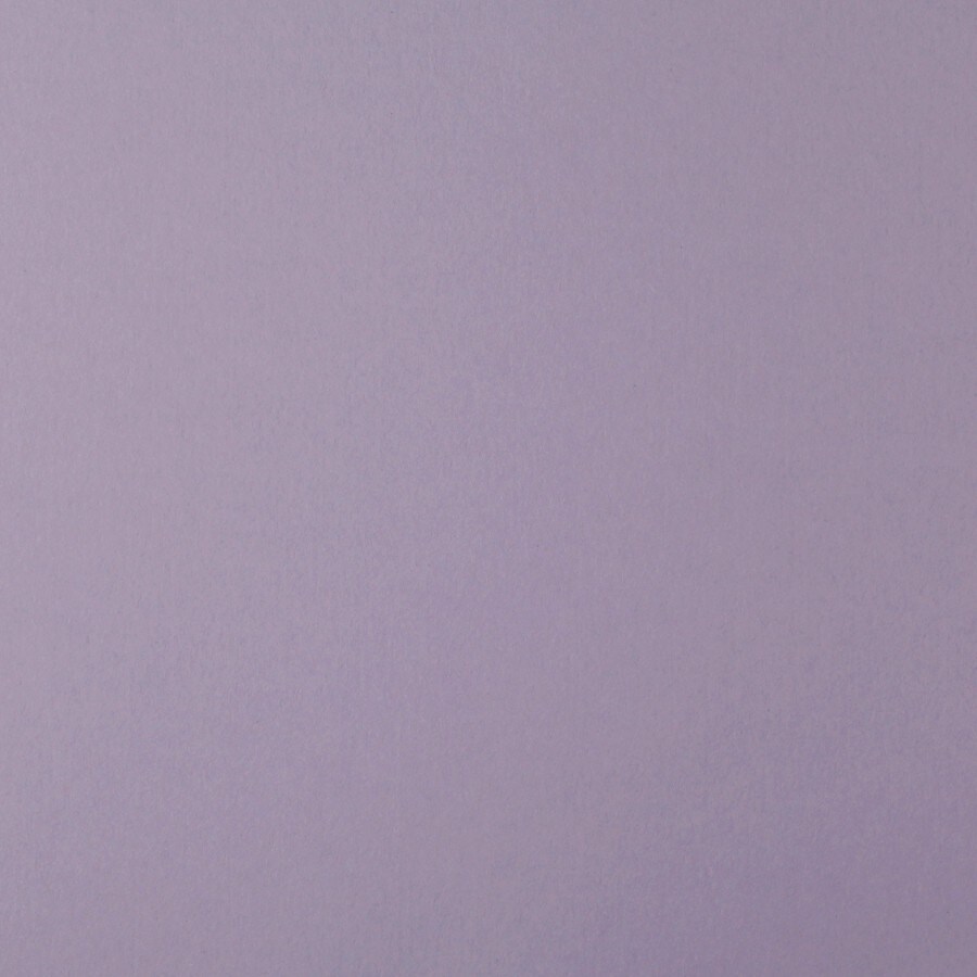 Colorplan by Legion Papers 11" x 17" - 130 Lb. / 18.5 pts Matte Premium ...