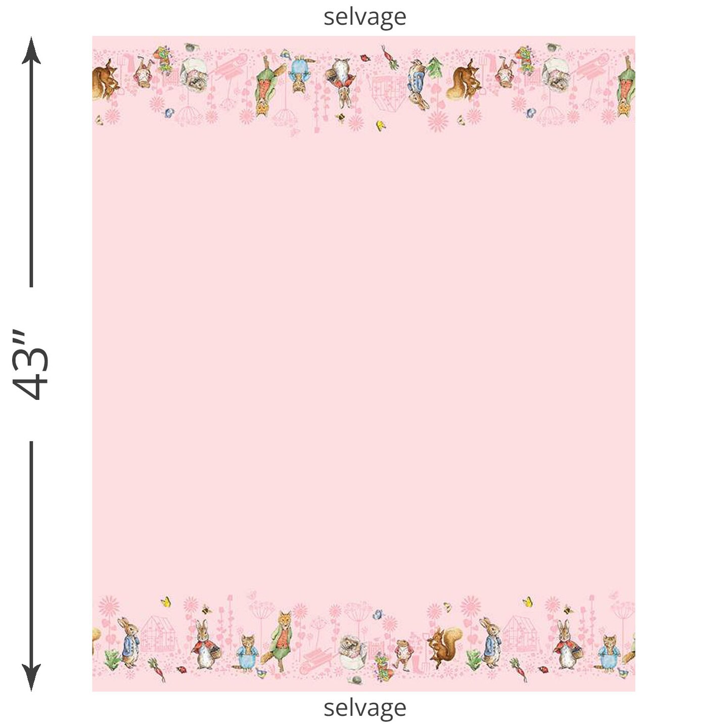 Border Print in Pink (cd15867-pink) | Peter Rabbit and Friends | Riley ...