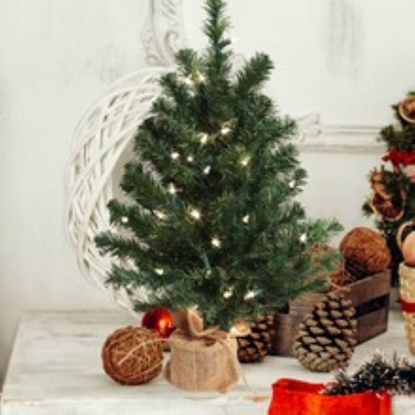 4-Pack 2' Northern Spruce Tree with Burlap Base | Realistic Greenery ...