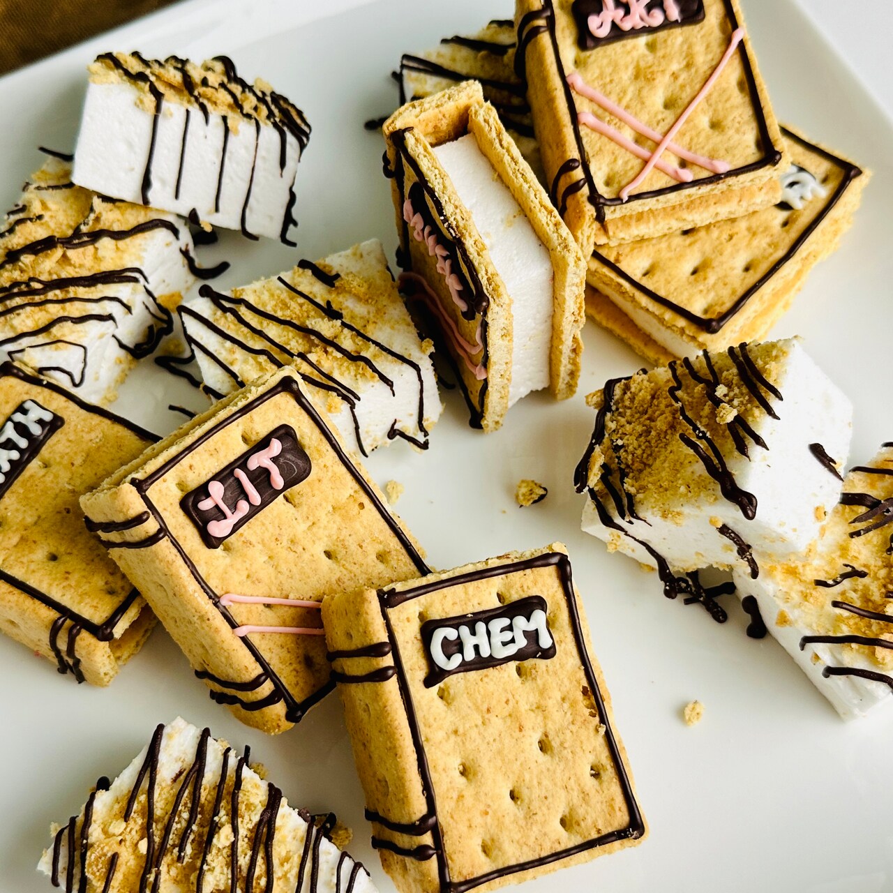Homemade Marshmallow S'mores | Classes | Michaels