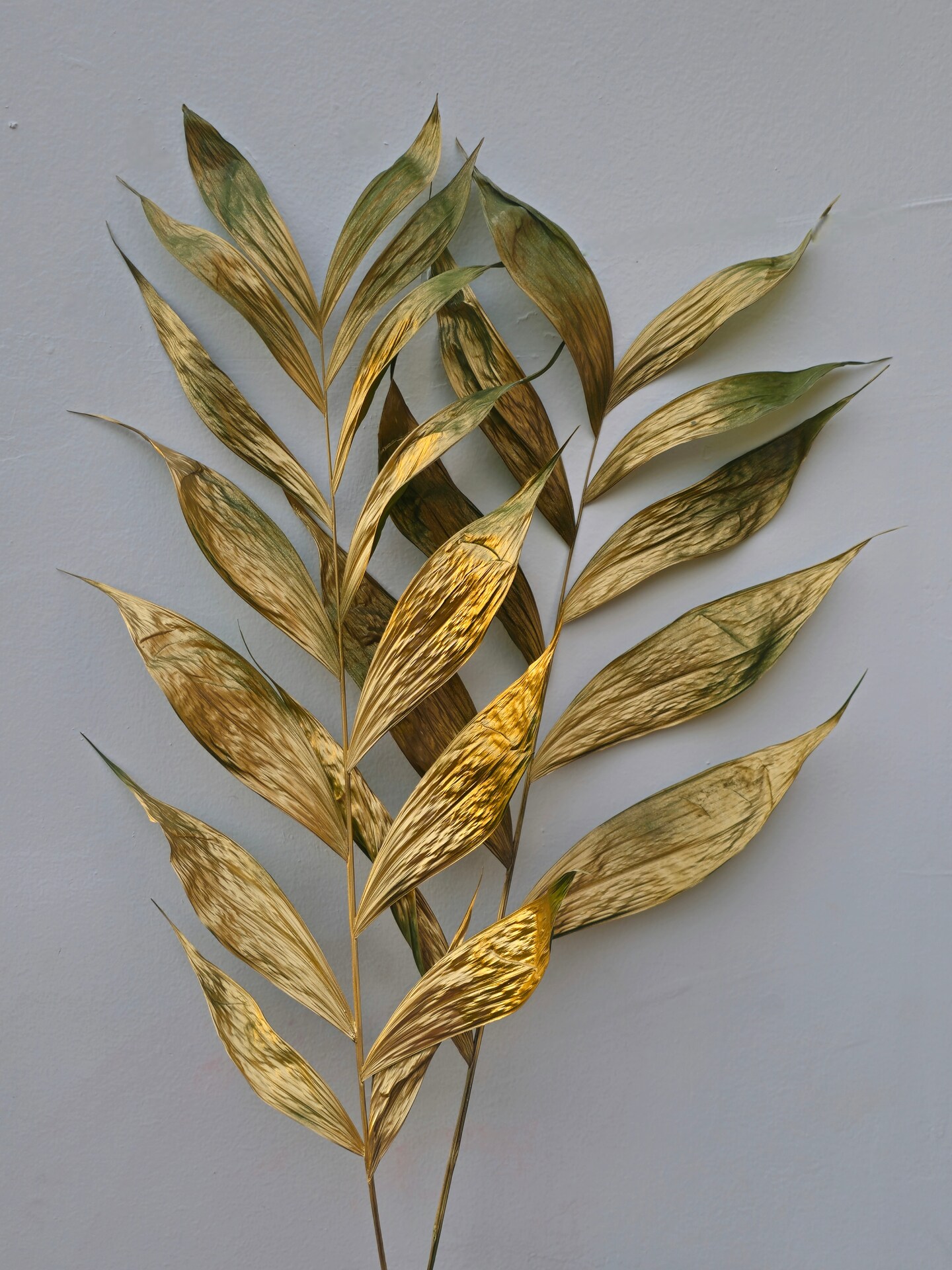 Hand dried Jade Palm - Gold and Green | MakerPlace by Michaels