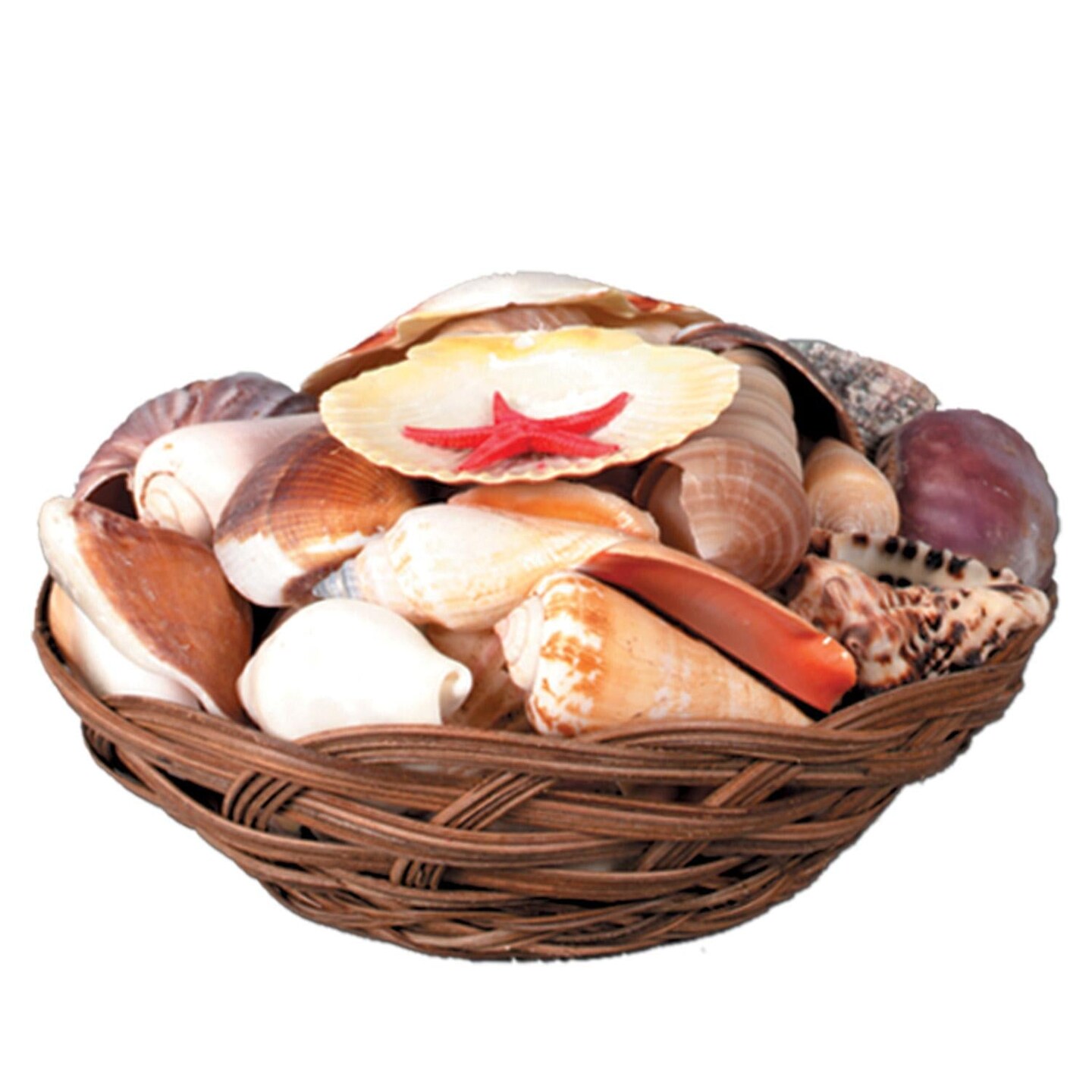 6 Pack Bulk Luau Party Shell Basket | Michaels