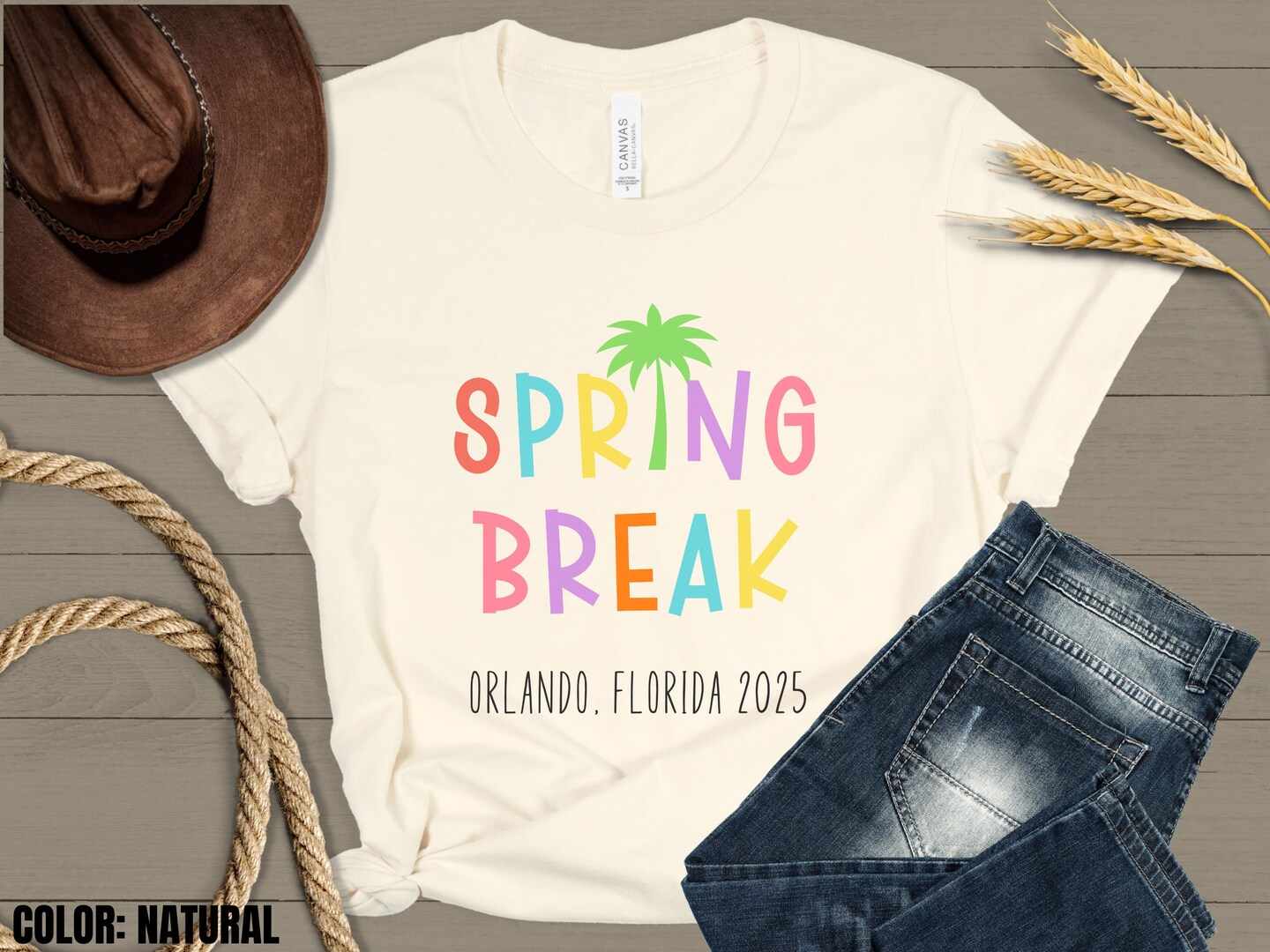 Custom Spring Break Shirts, 2025 Spring Break, Family Vacation Shirts ...