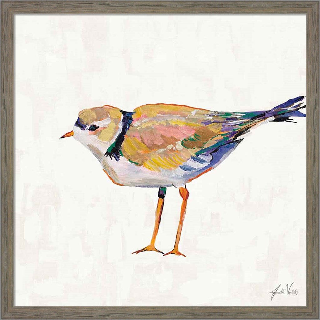 Coastal Plover IV Linen by Jeanette Vertentes, Framed Art, Size: 17x22 ...