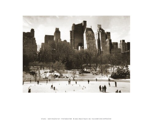 Wollman Rink by Igor Maloratsky Wall Art Décor 8 x 10 Art Print | Michaels