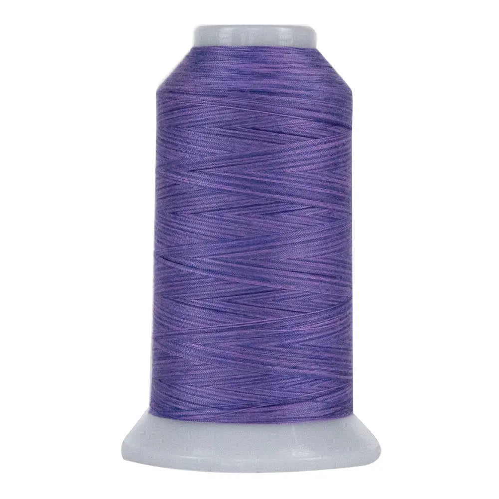 9019 Lydia Omni Variegated Polyester Thread | Michaels