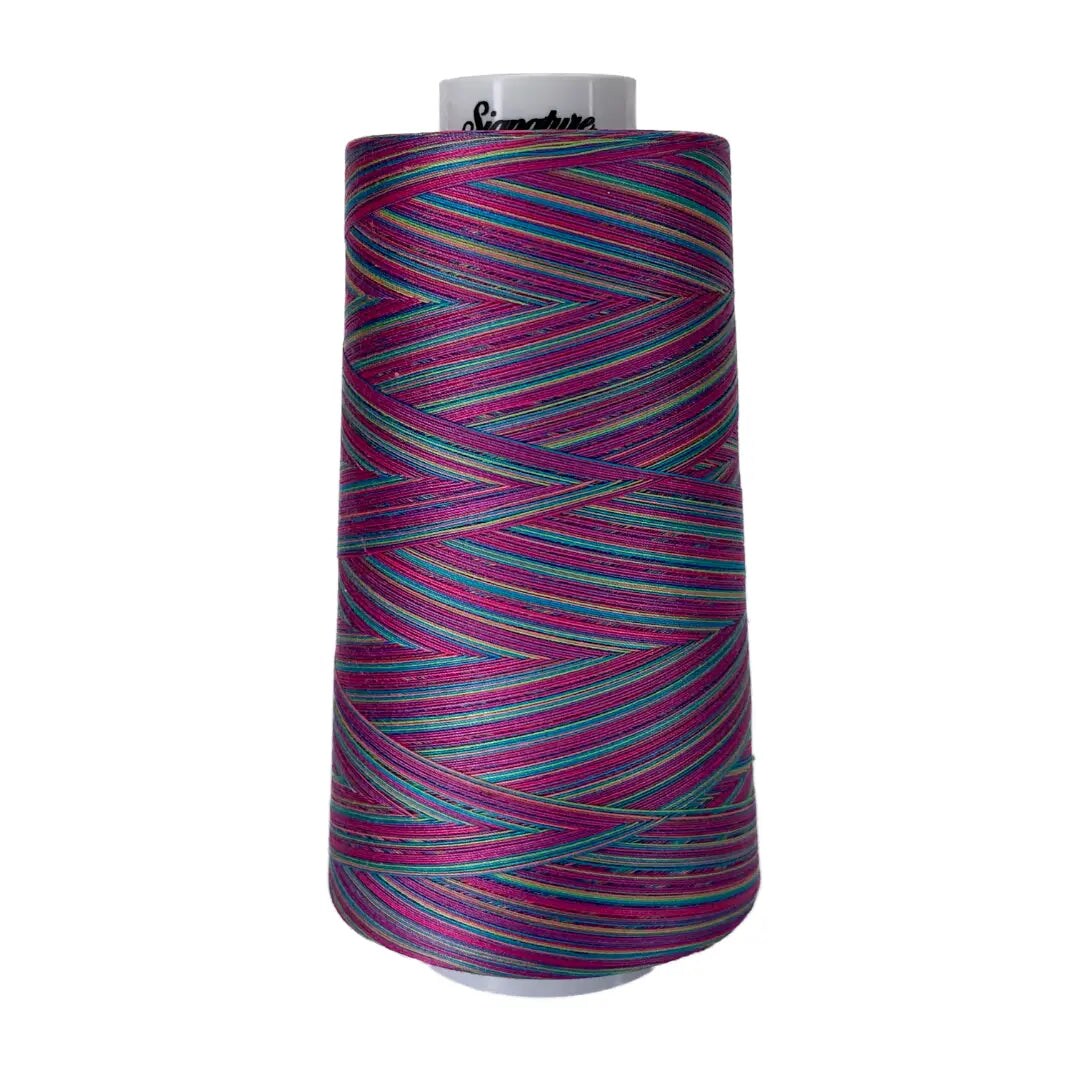 M16 Fad 5 Signature Cotton Variegated Thread | Michaels