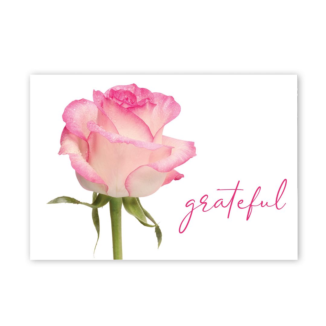 Great Papers! Grateful Pink Rose Thank You Note Card and White Envelope ...